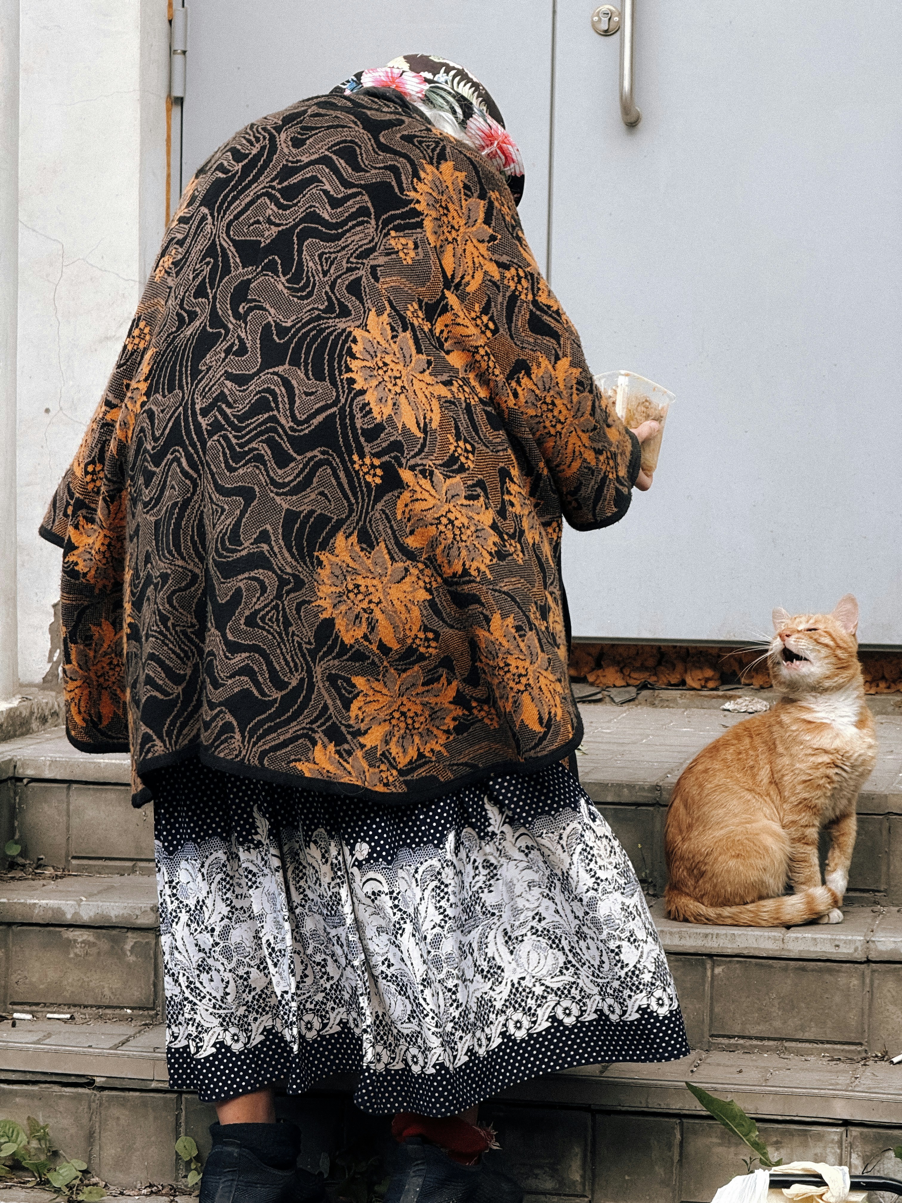 An elderly woman in a patterned coat interacts with a curious orange cat on the steps of a building, creating a heartwarming scene.