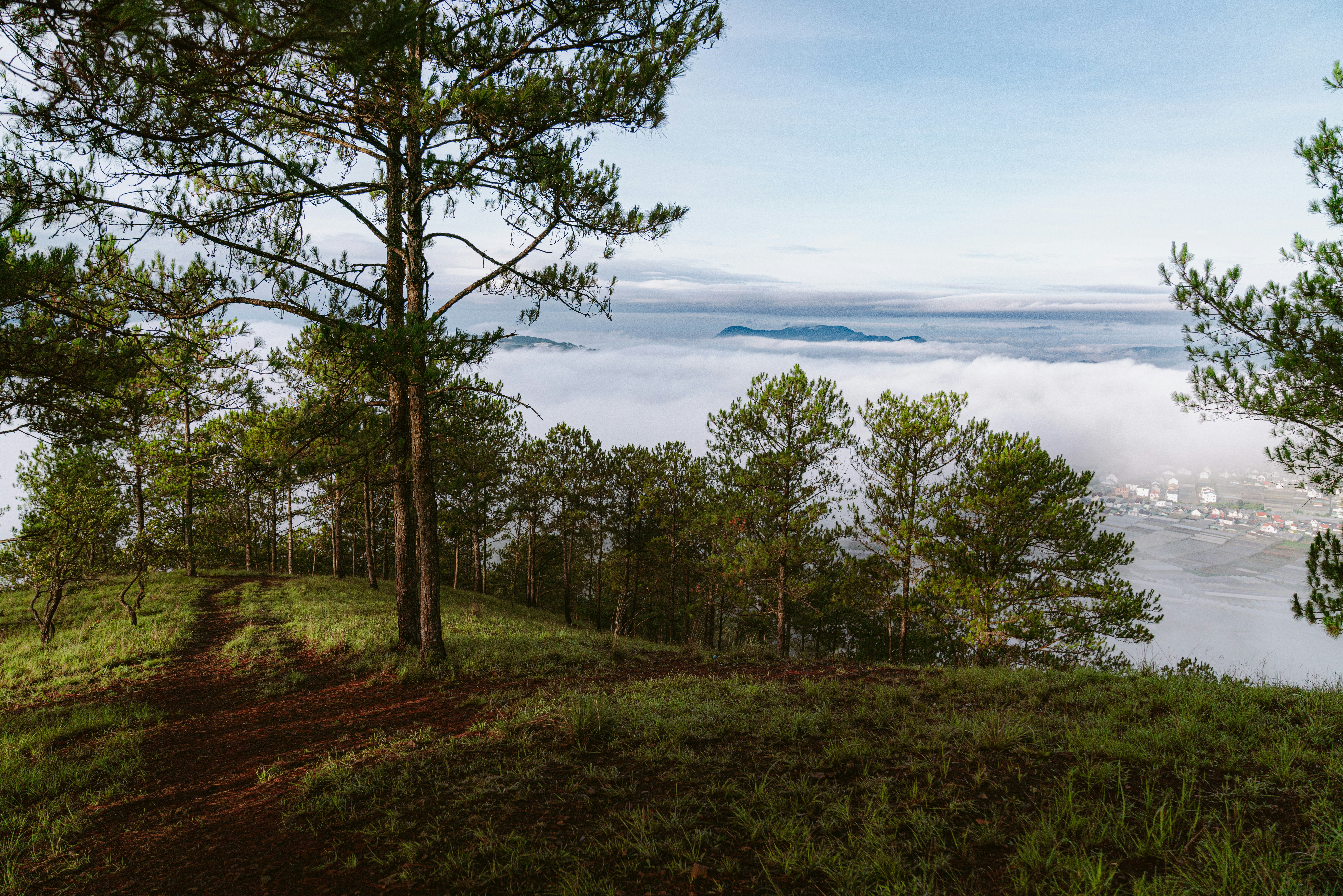 Whispers Above the Clouds