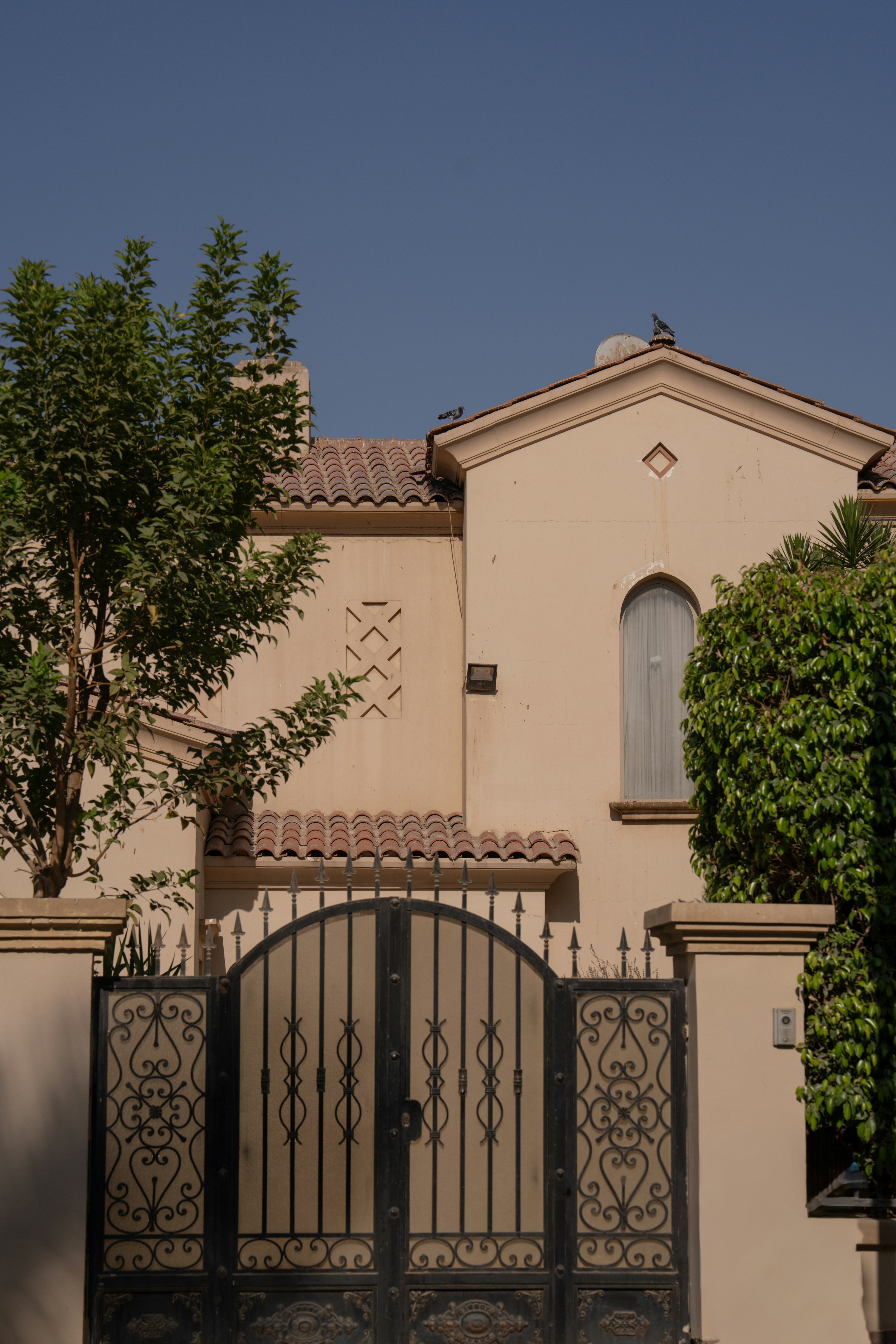 Elegant residential facade featuring ornate architectural details and lush greenery framing the entrance. The interplay of light and shadow enhances the structure's charm.