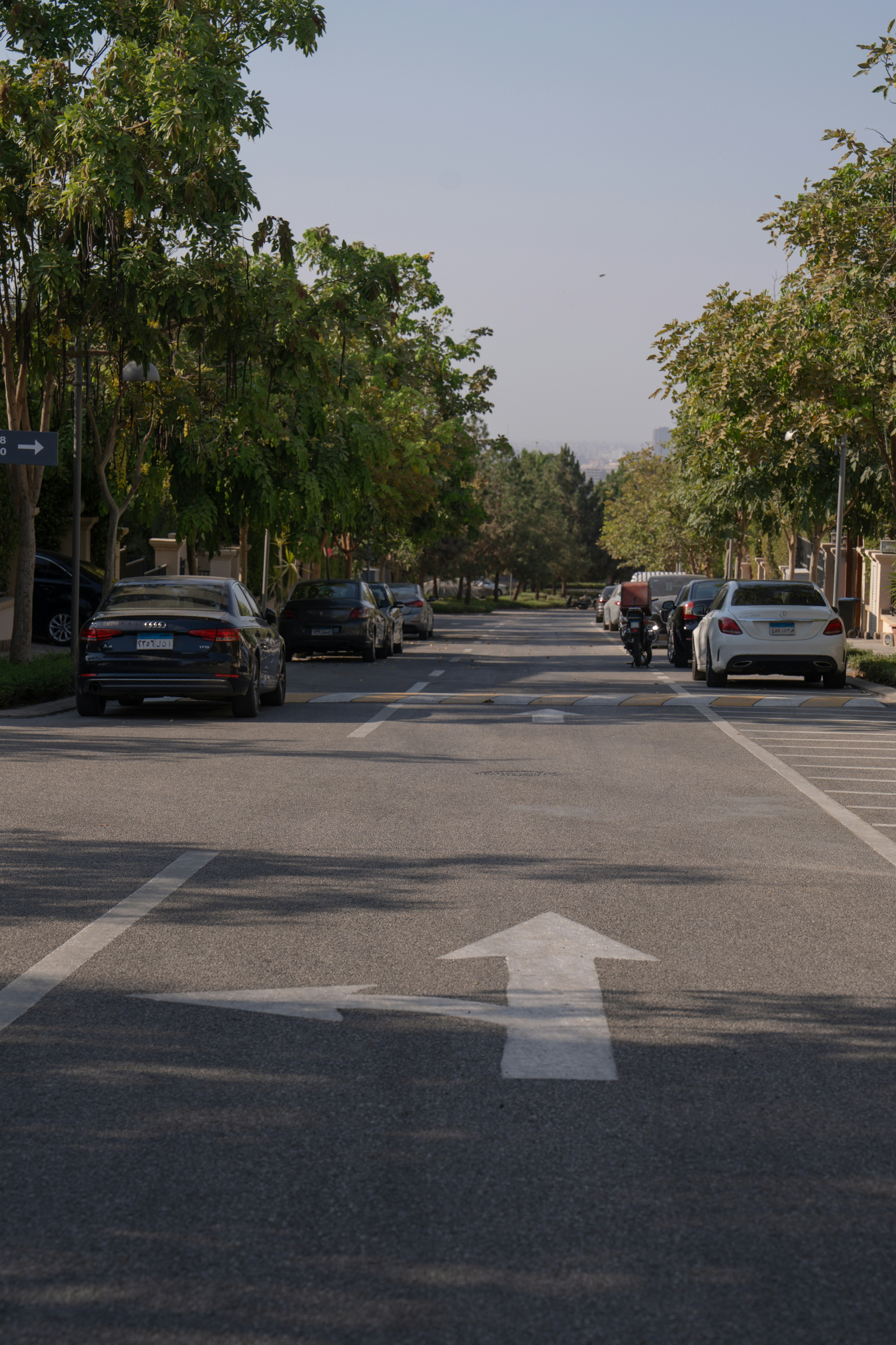 Cars parked along a tree-lined street with arrow markings.