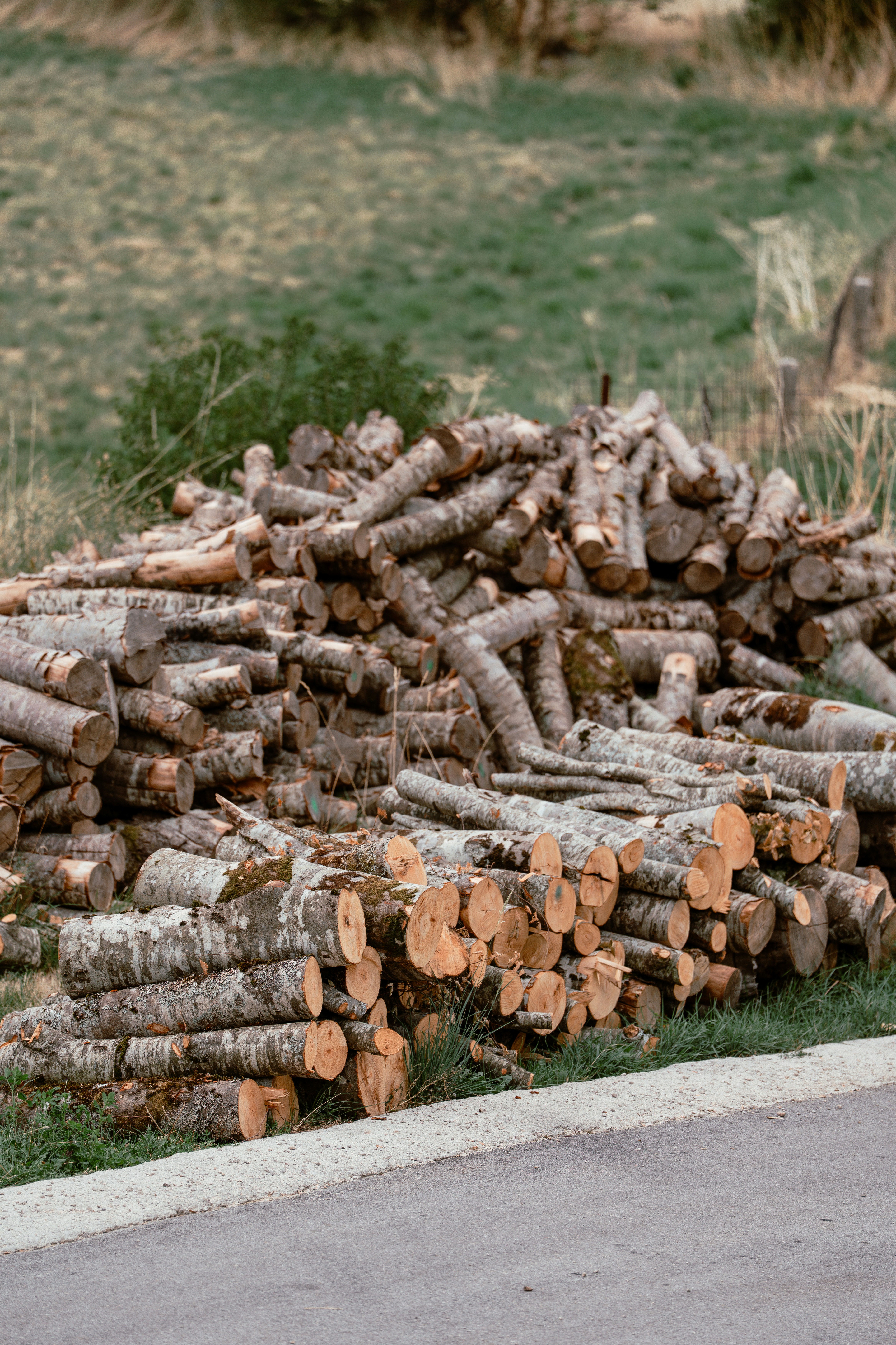 Nature's Timber: A Rustic Pile of Logs