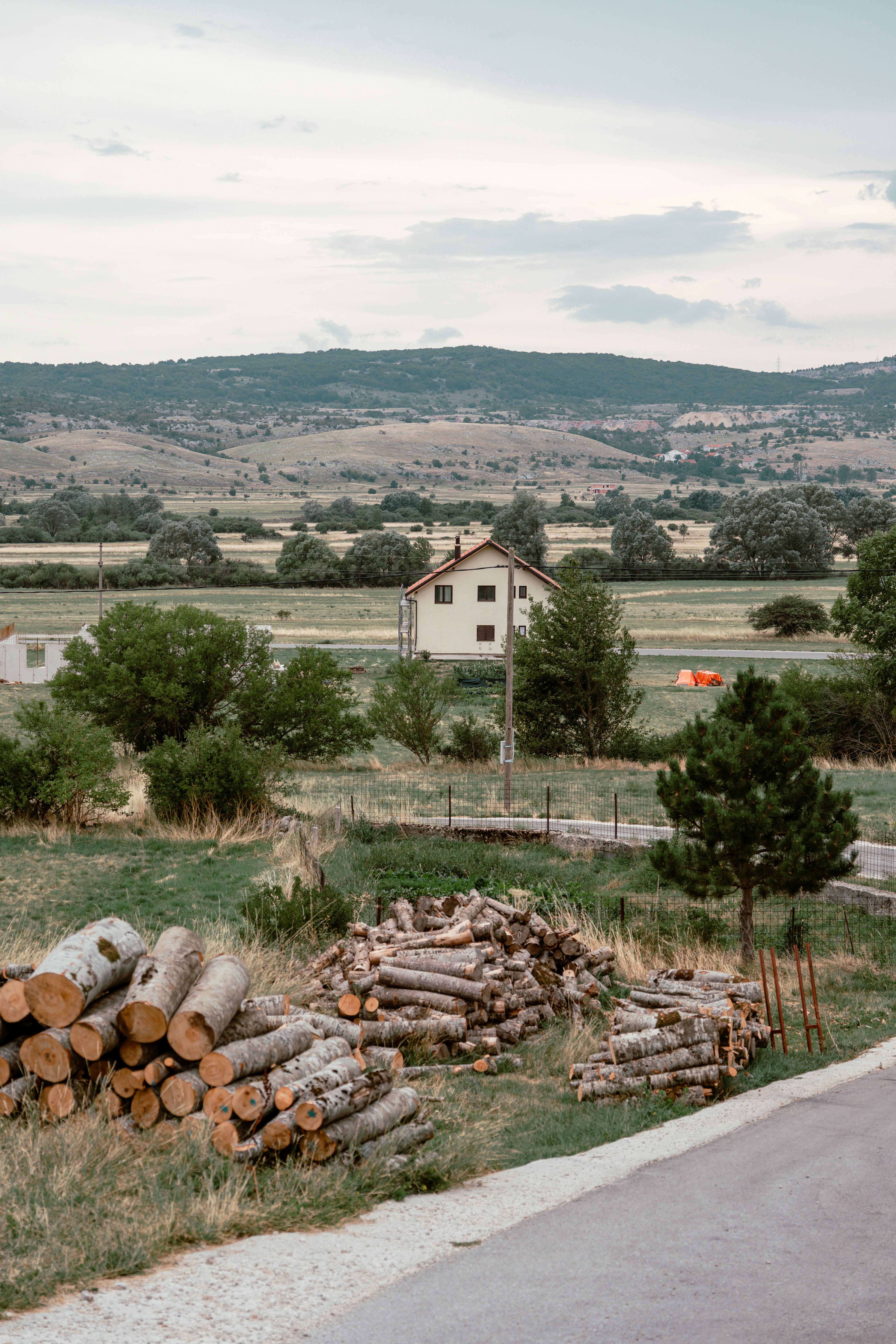 A quaint house nestled among rolling hills, surrounded by lush greenery and stacked logs, embodying rural tranquility.