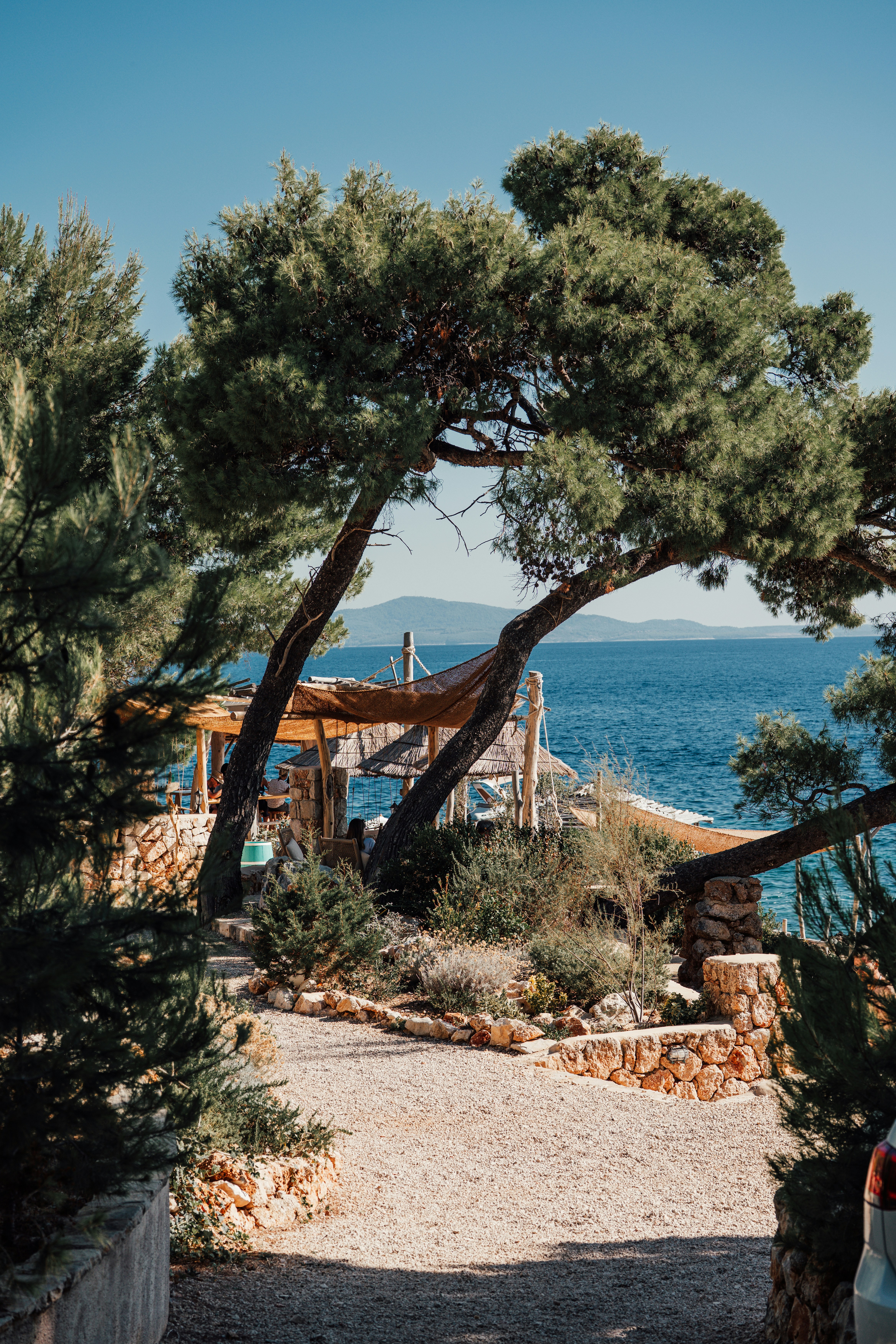 Arched Pines Framing a Seaside Courtyard