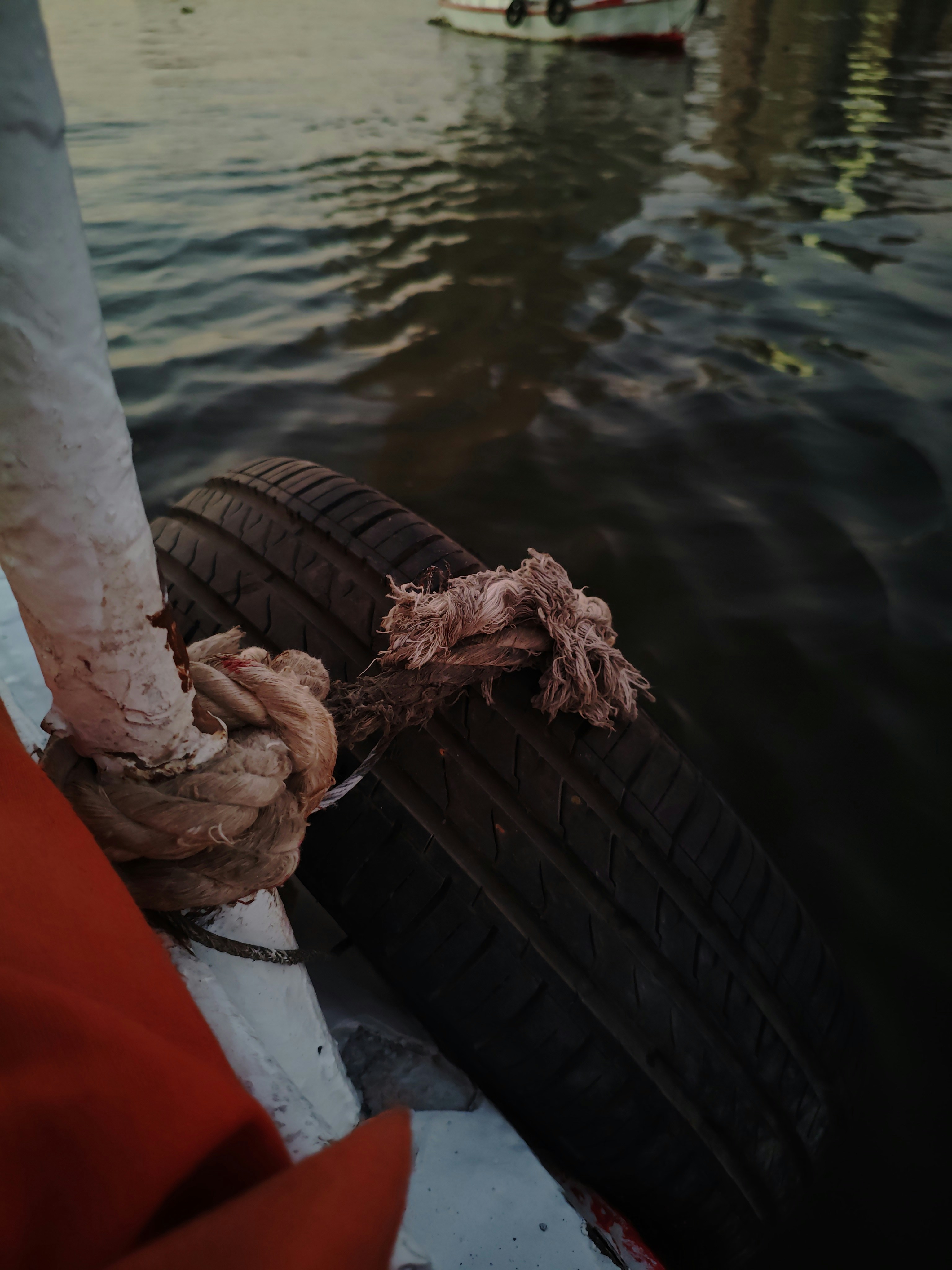A close-up of a frayed rope tied around a tire, resting on the edge of a body of water, with gentle ripples reflecting the surroundings.