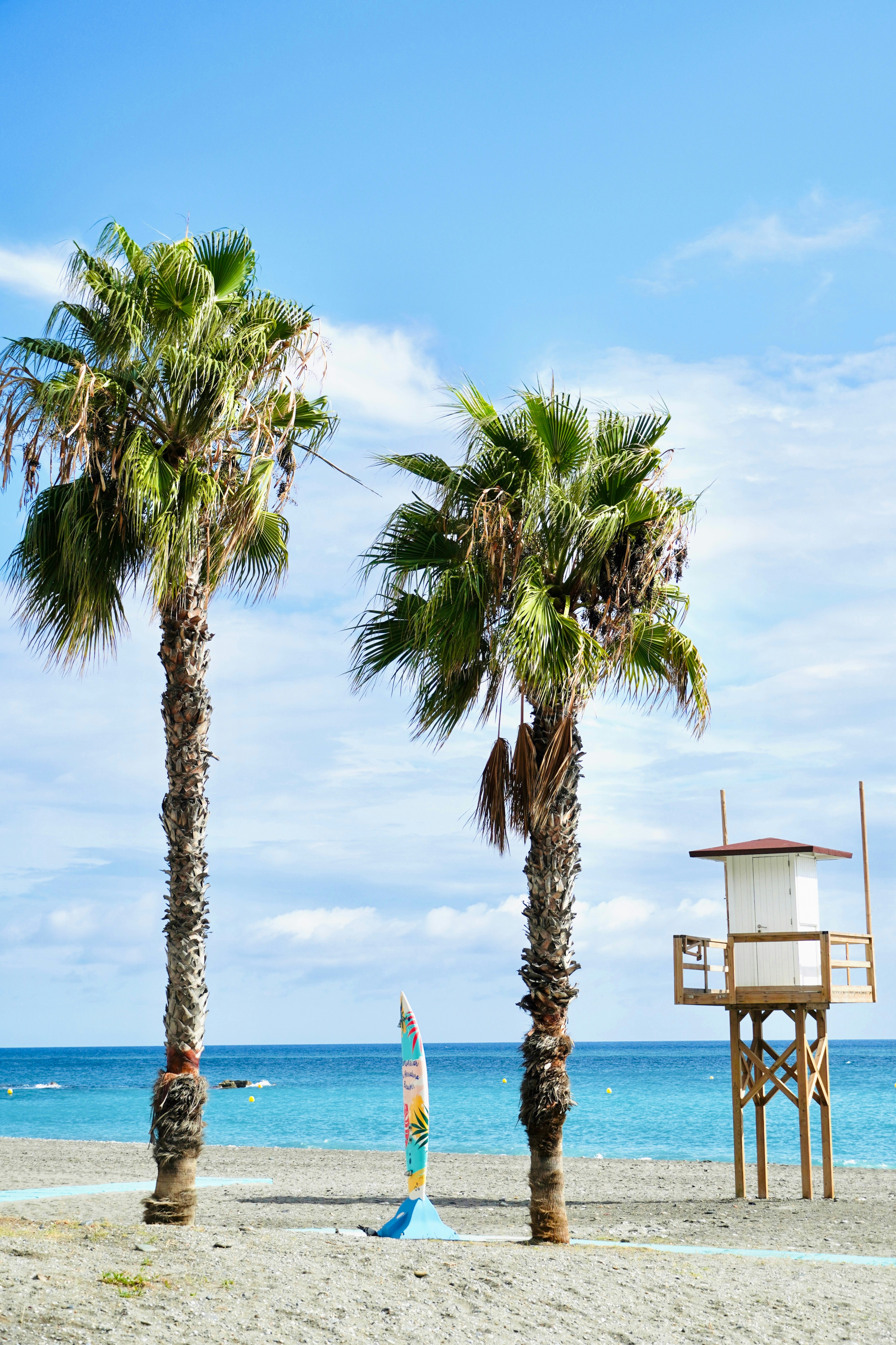 Two palm trees on a sandy beach with lifeguard tower.