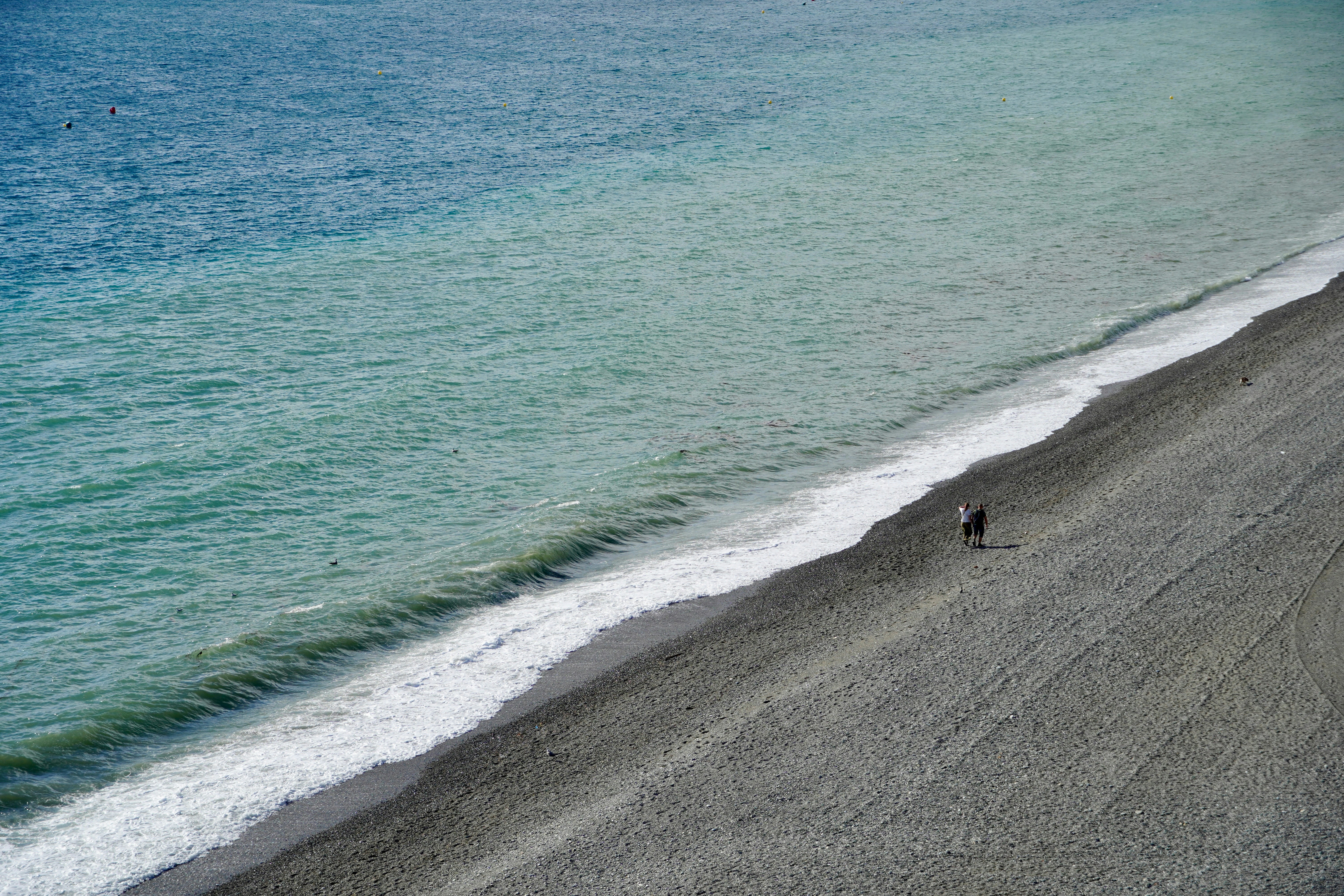 Tranquil Shores: A Stroll Along the Serene Coastline