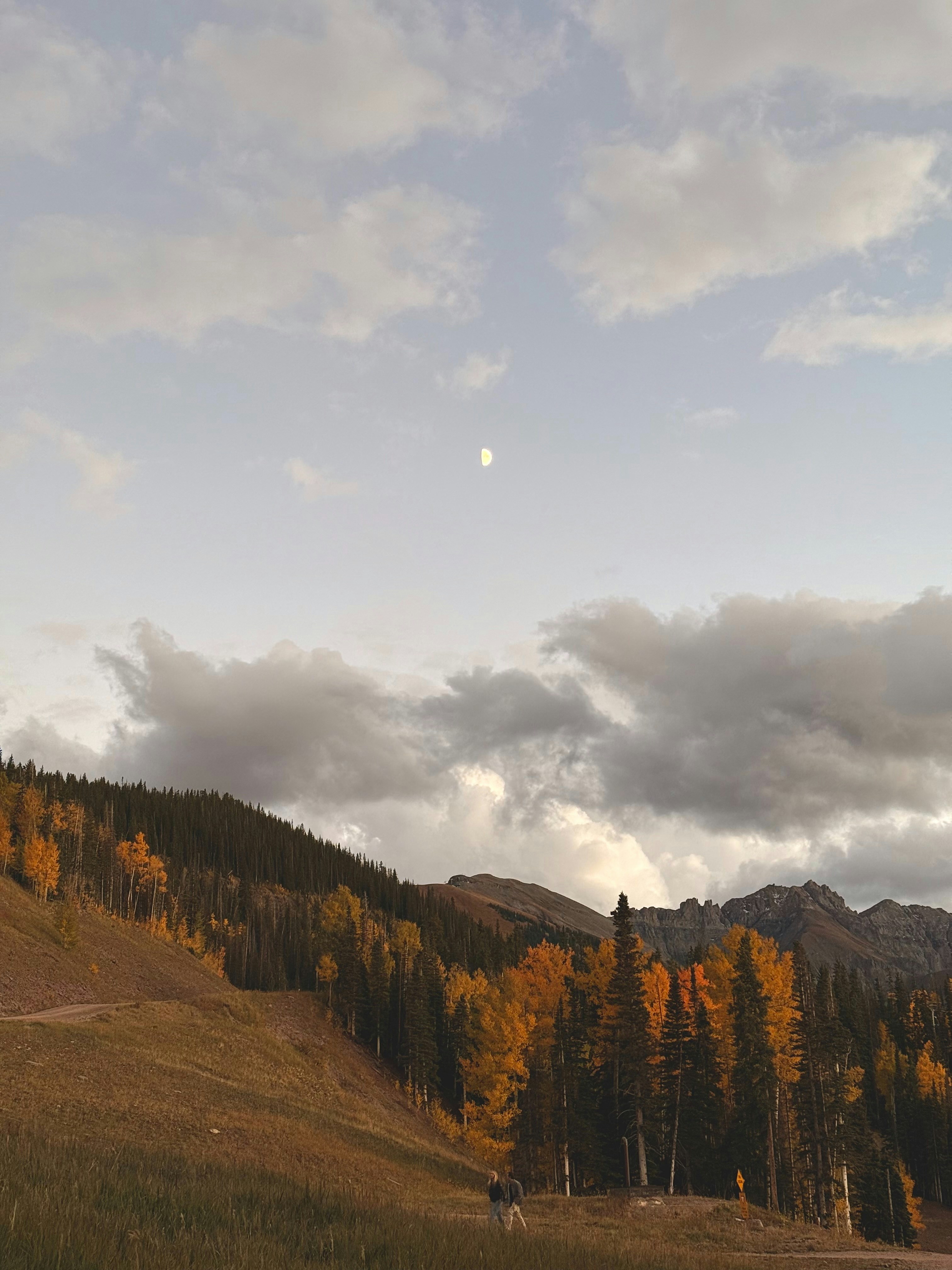 Whispers of Autumn: A Moonlit Embrace