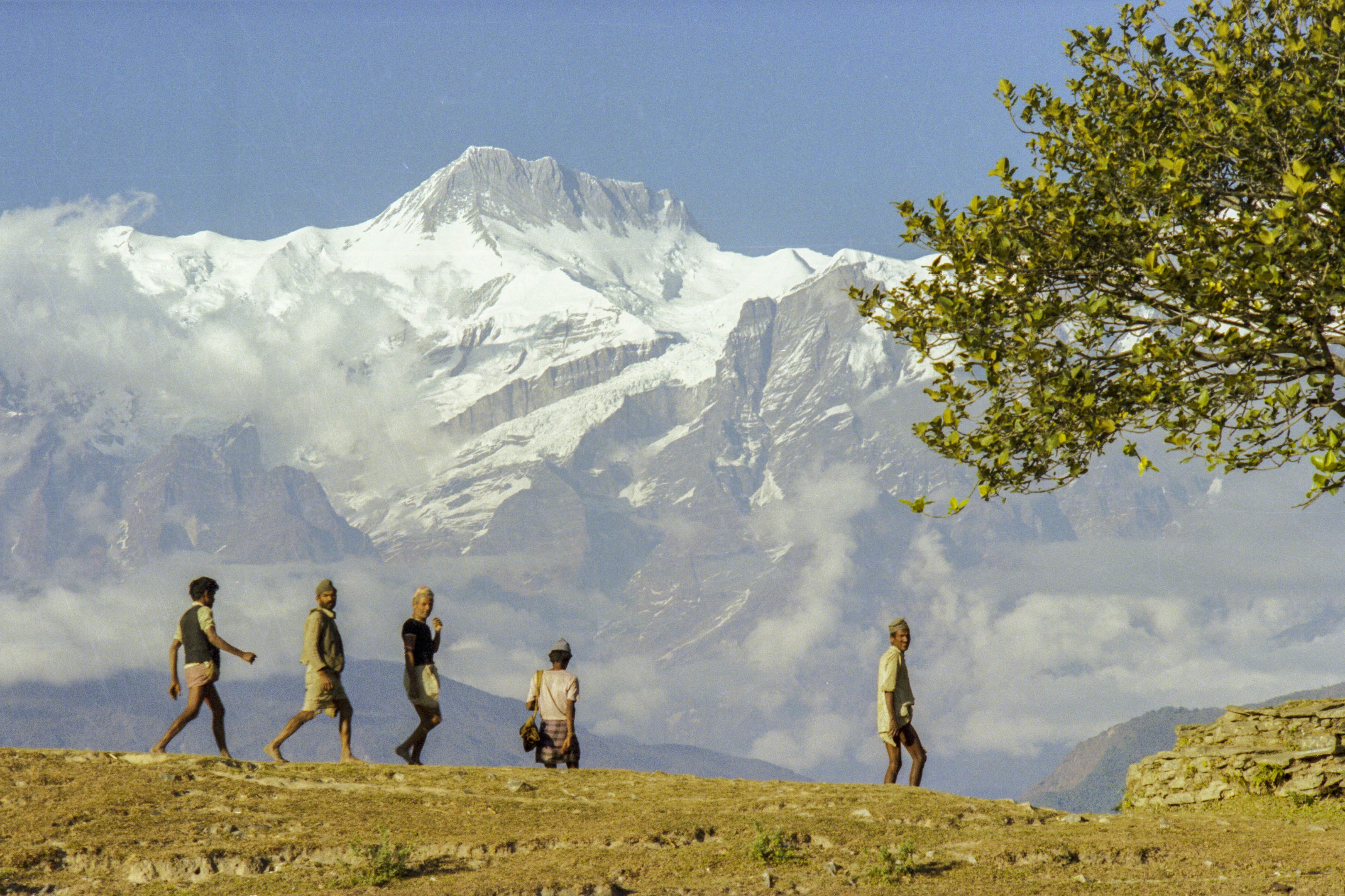 Group of hikers walking along a ridge with snow-capped mountains in the background, framed by a lone tree.