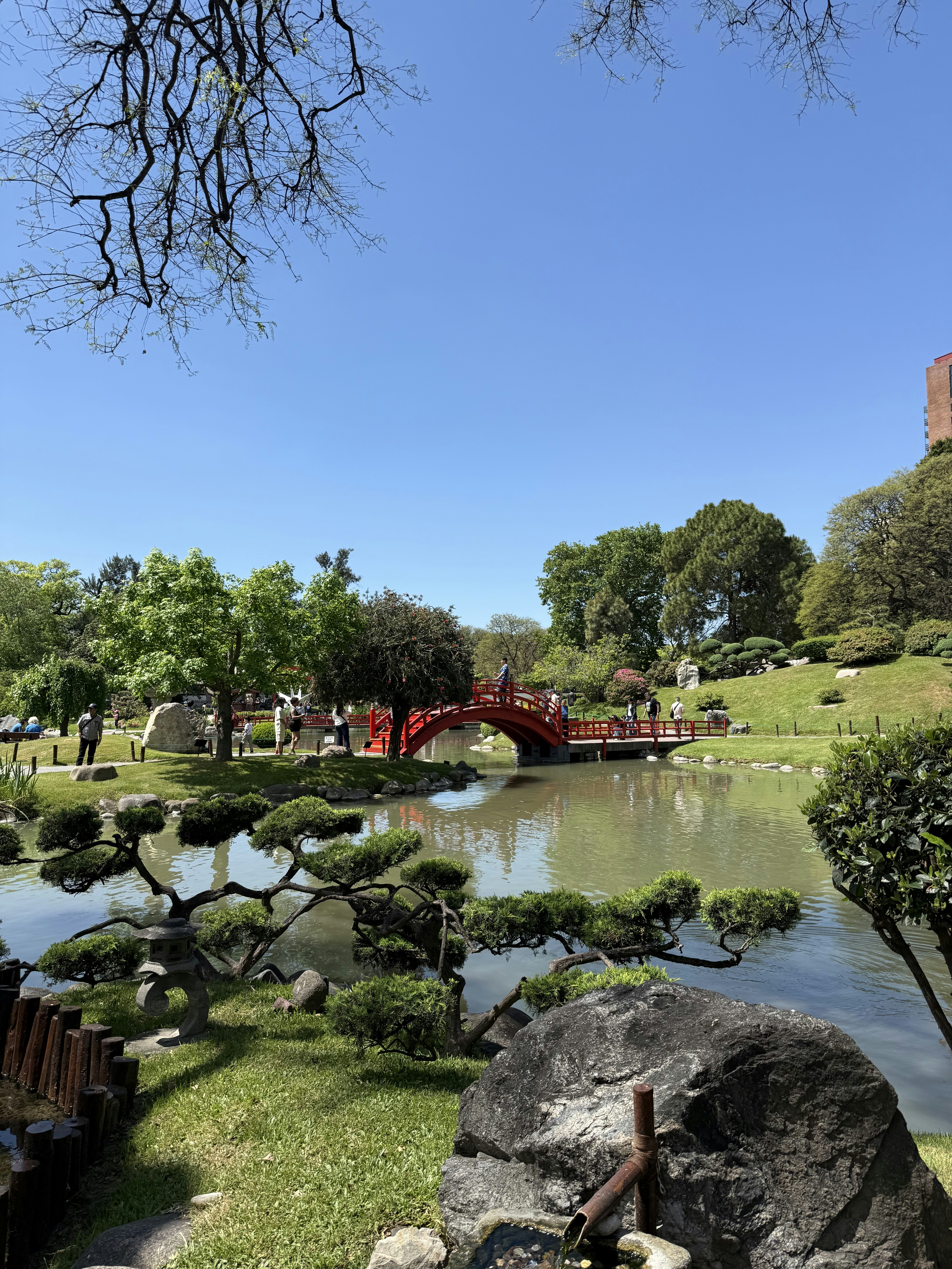Harmony in Nature: A Serene Garden Retreat