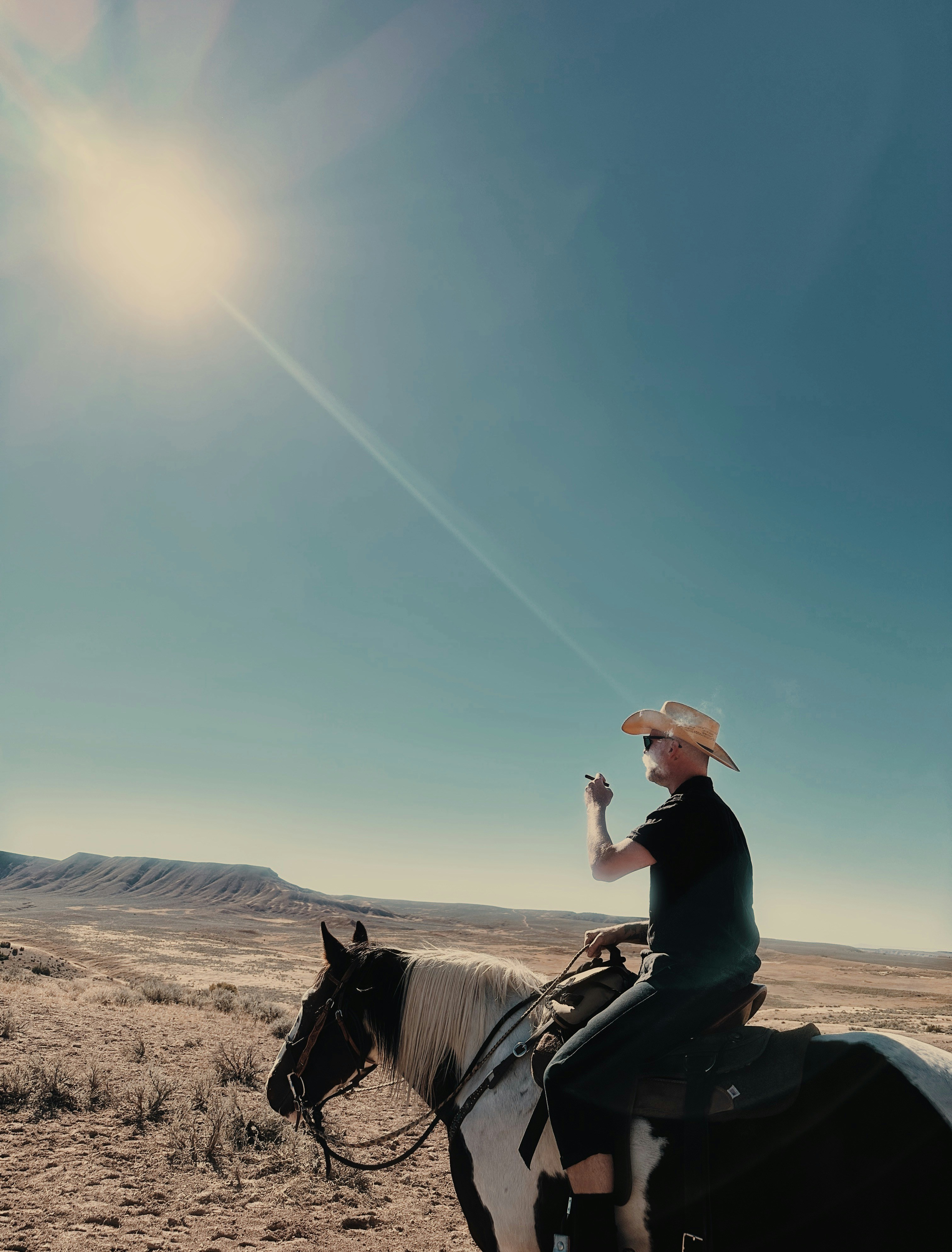 Cowboy on horseback capturing the vast landscape under a bright sun. The scene showcases the harmony between rider and nature.