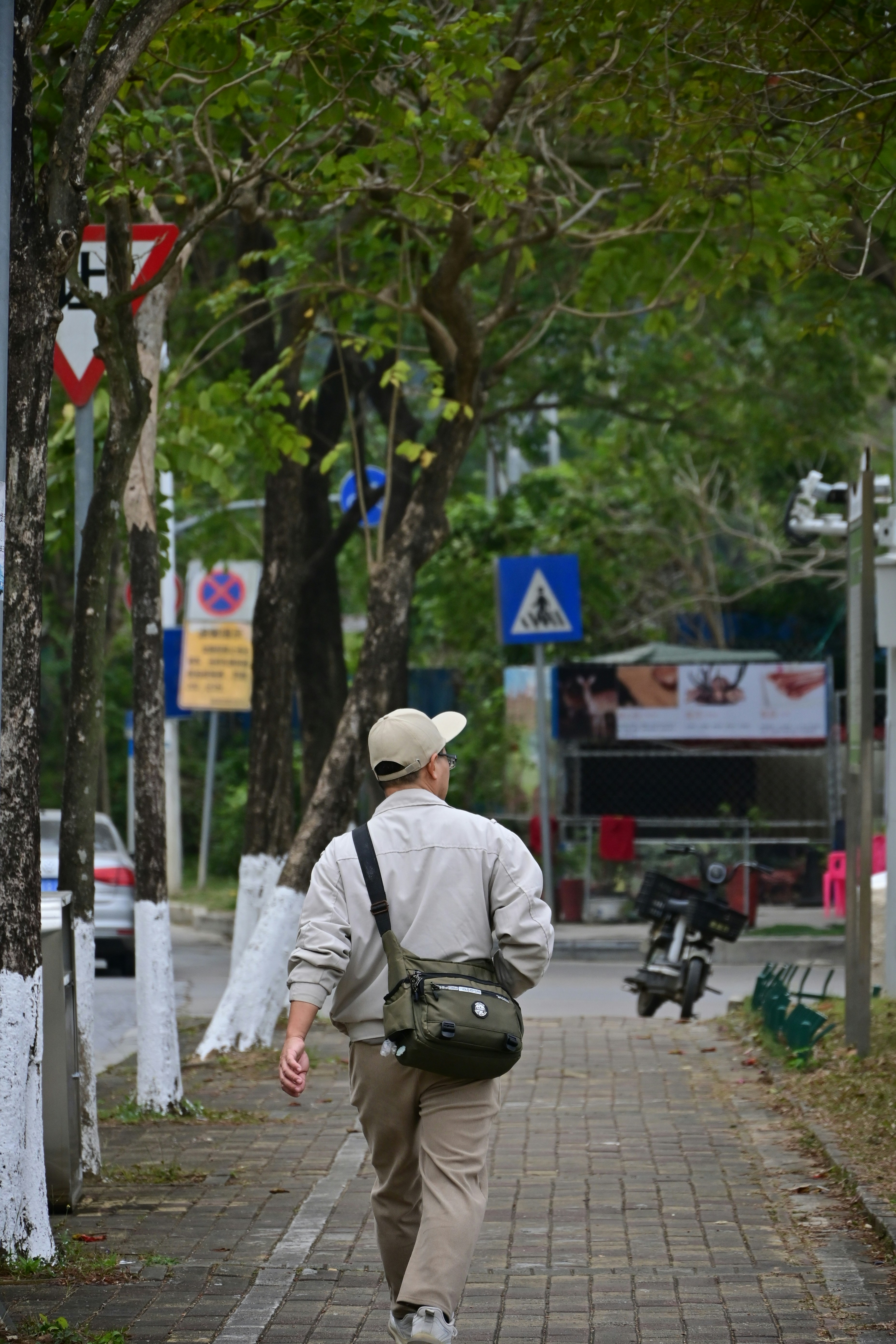 Urban Stroll: A Journey Through Green Canopy