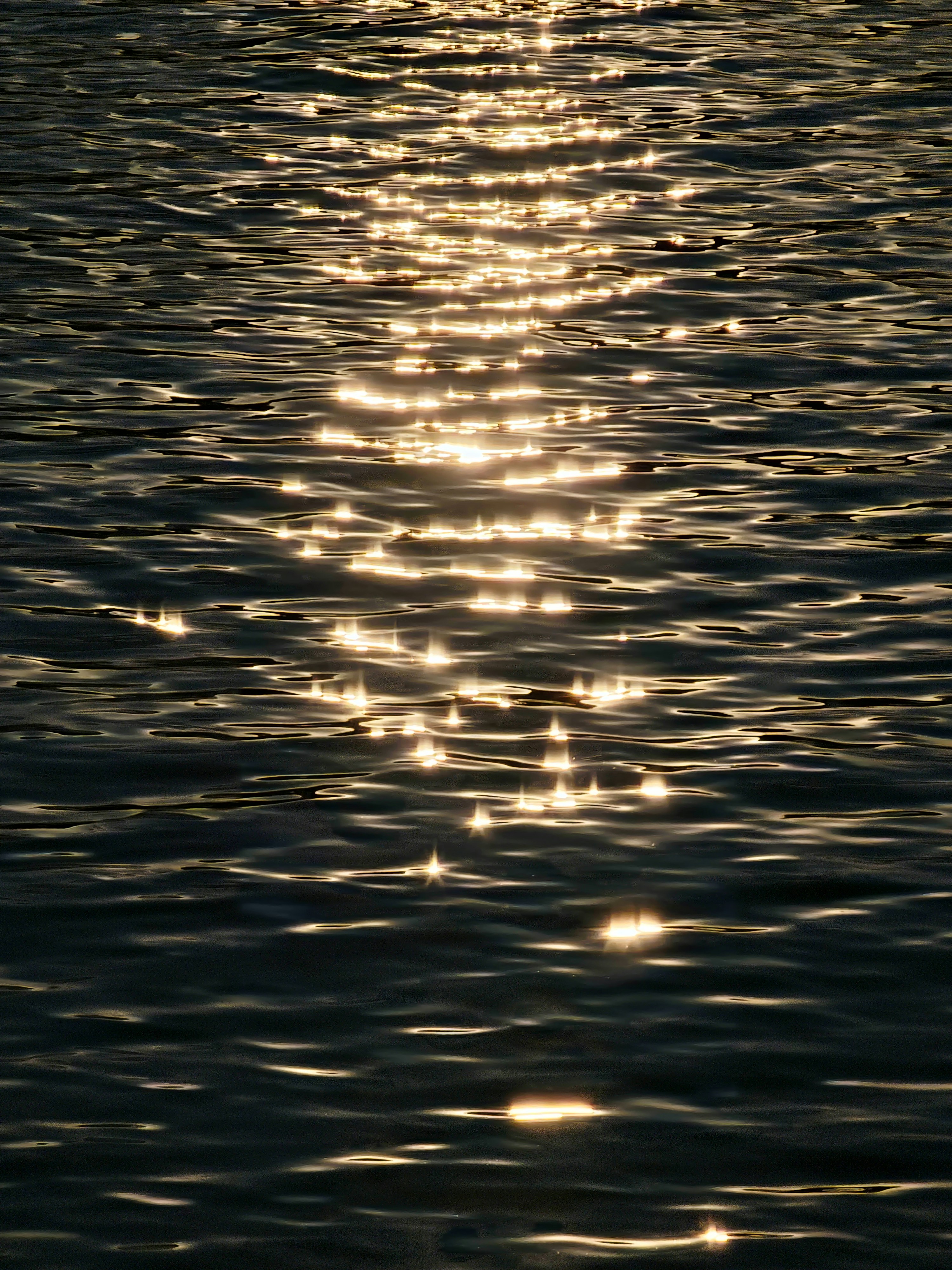 Sunlight sparkles on dark rippling water surface.