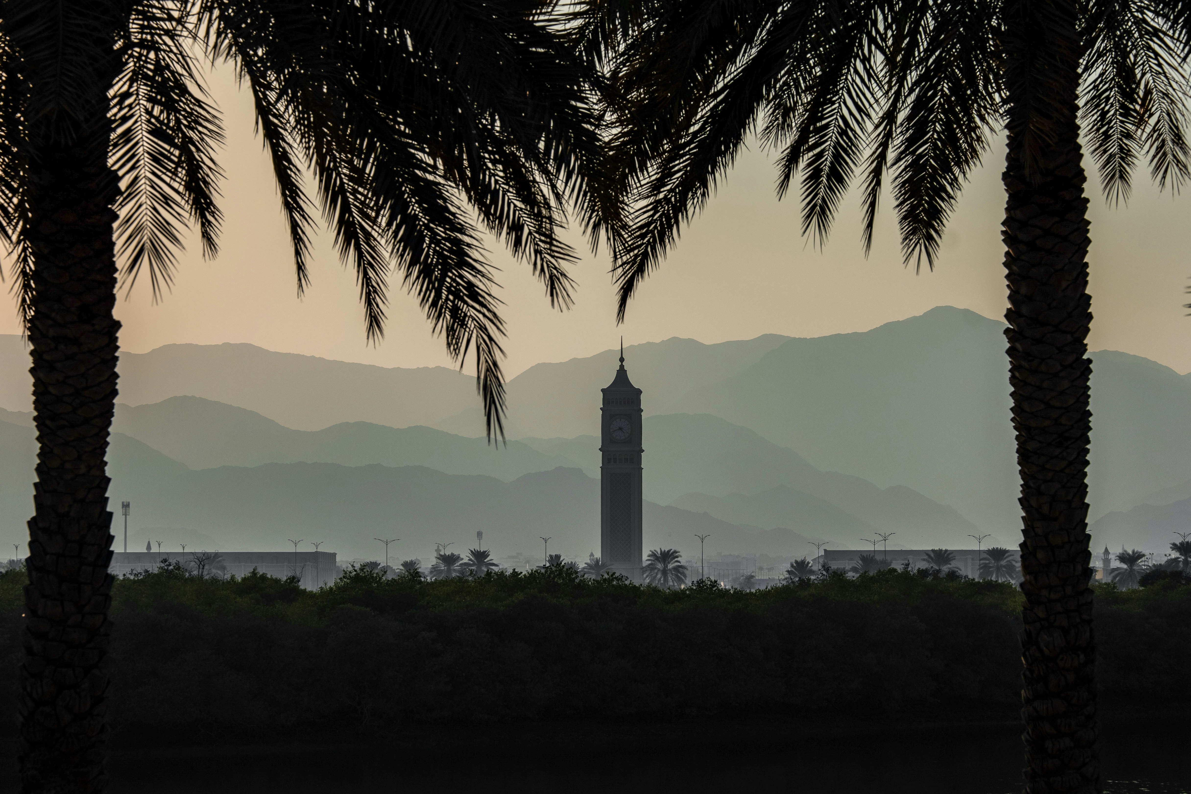 Timeless Tower Amidst Nature's Embrace