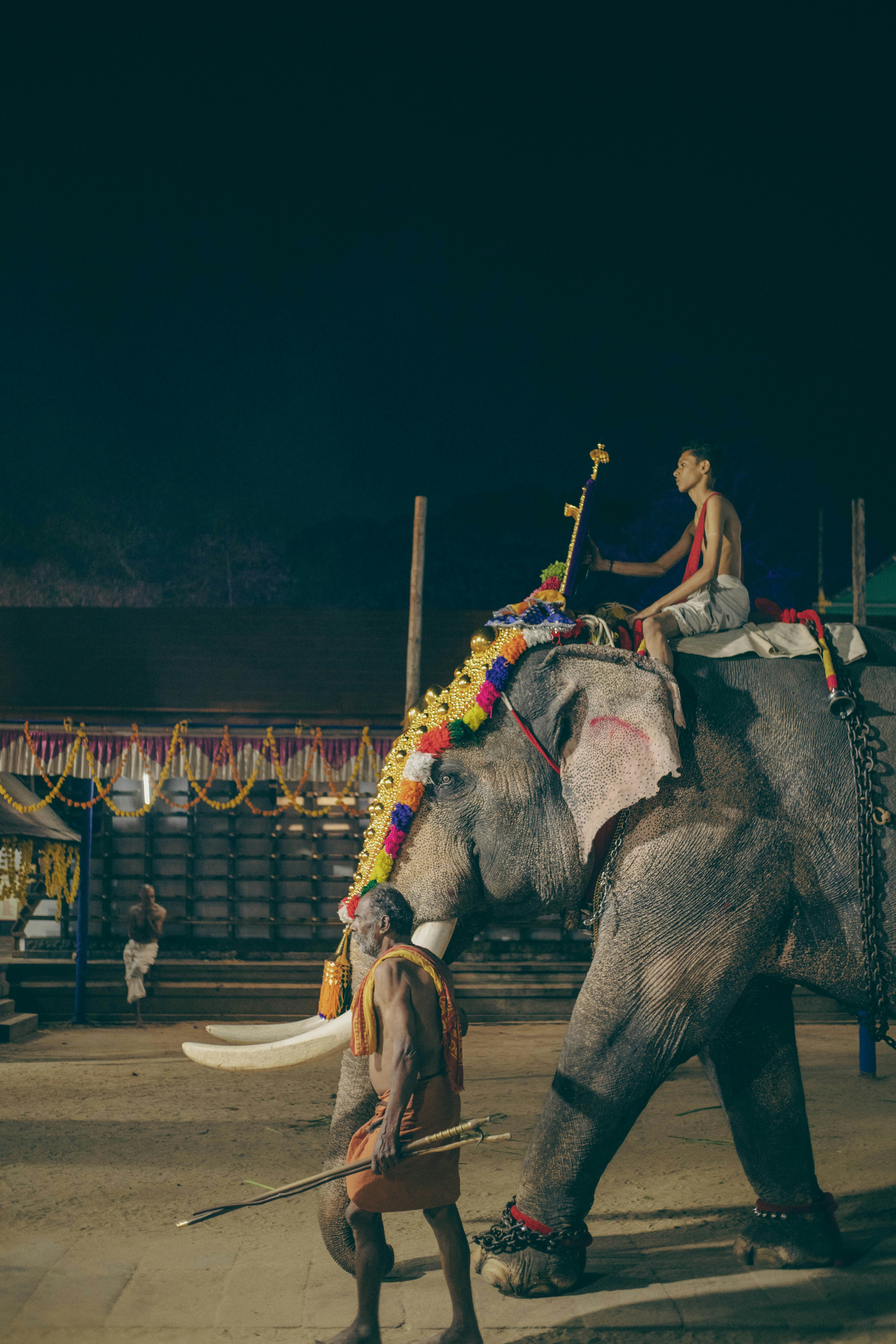 Majestic Procession Under the Night Sky