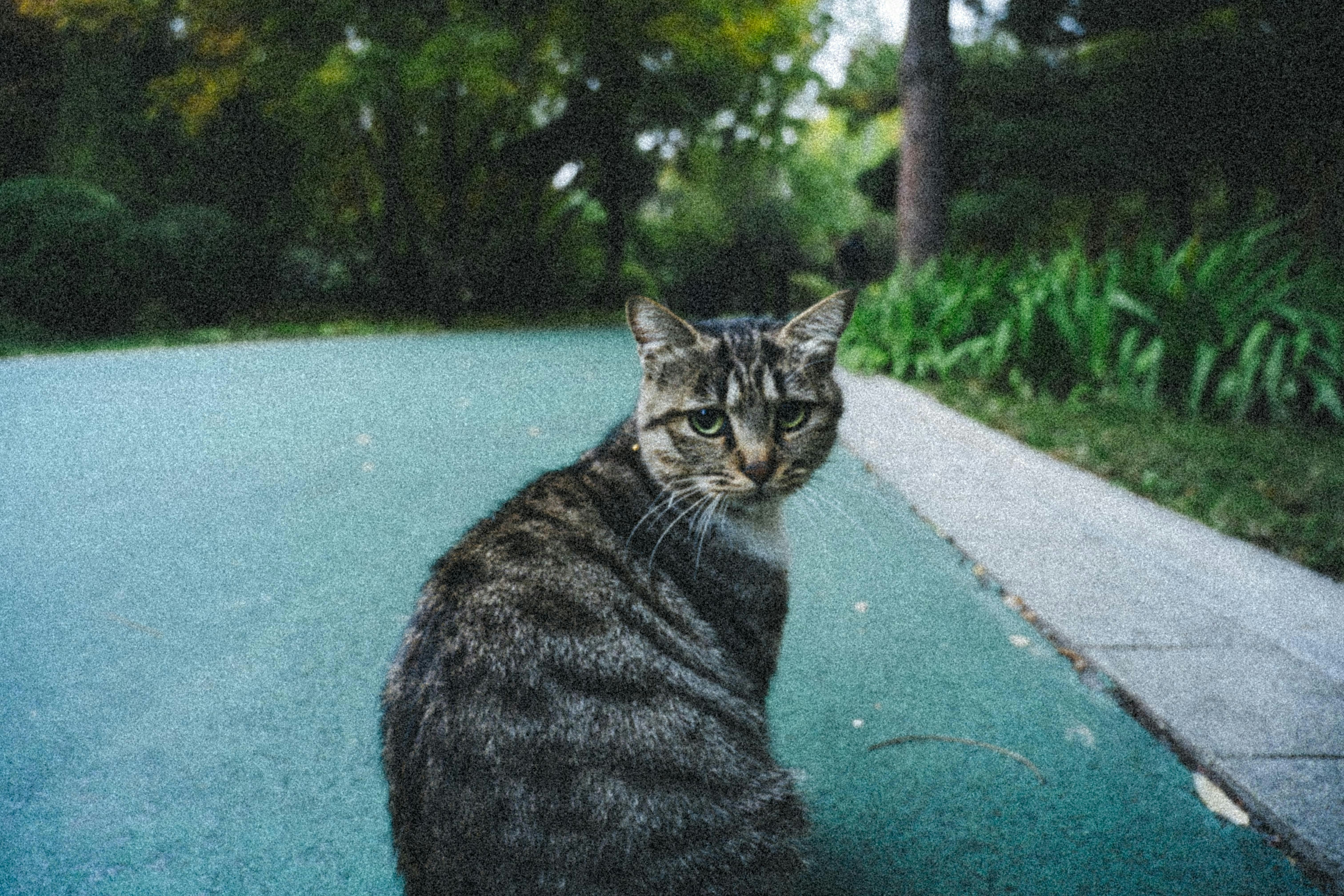 Photo by sk zhao with Nikon Zf