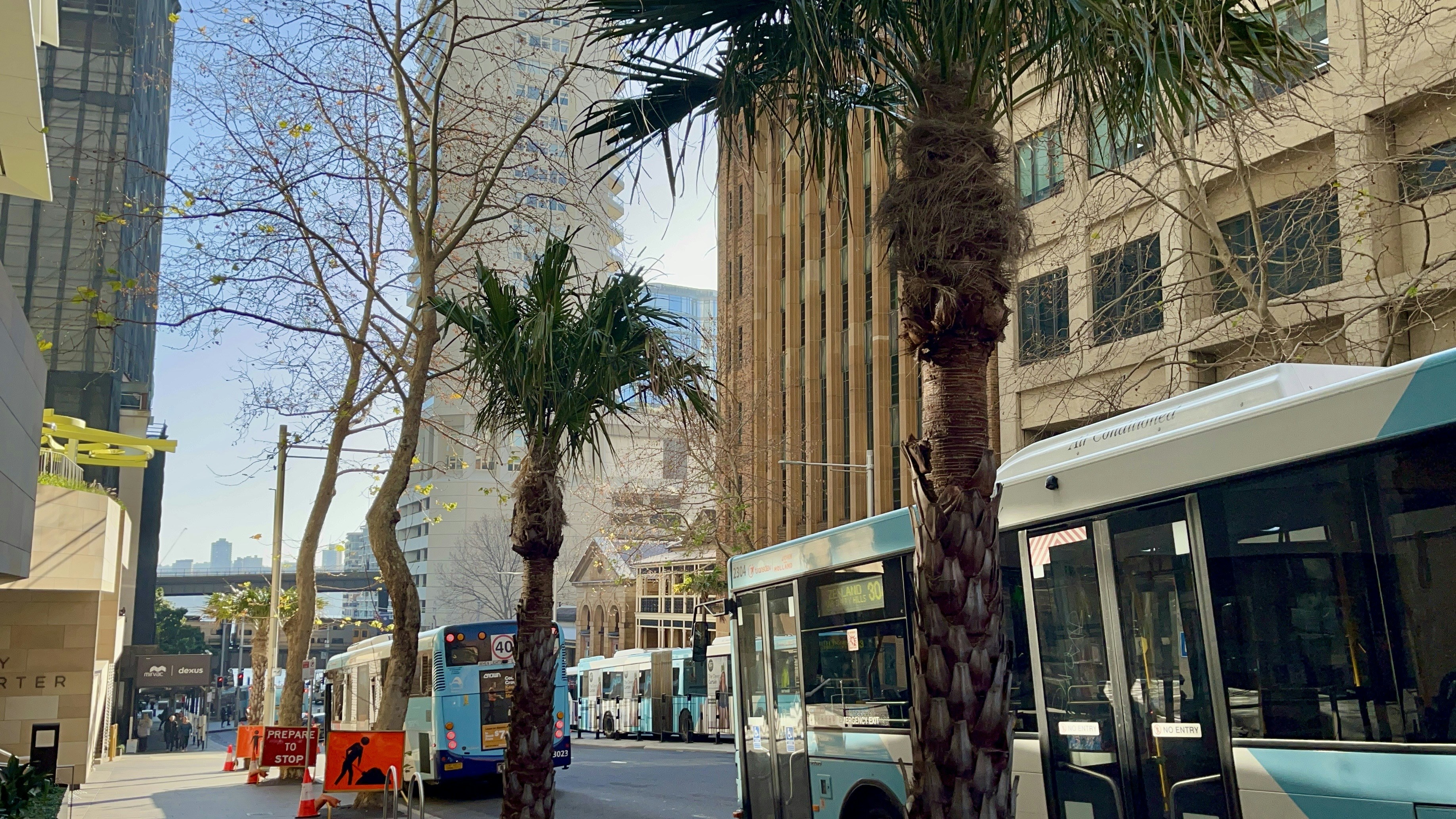 Urban Transit Oasis Amidst Architectural Giants