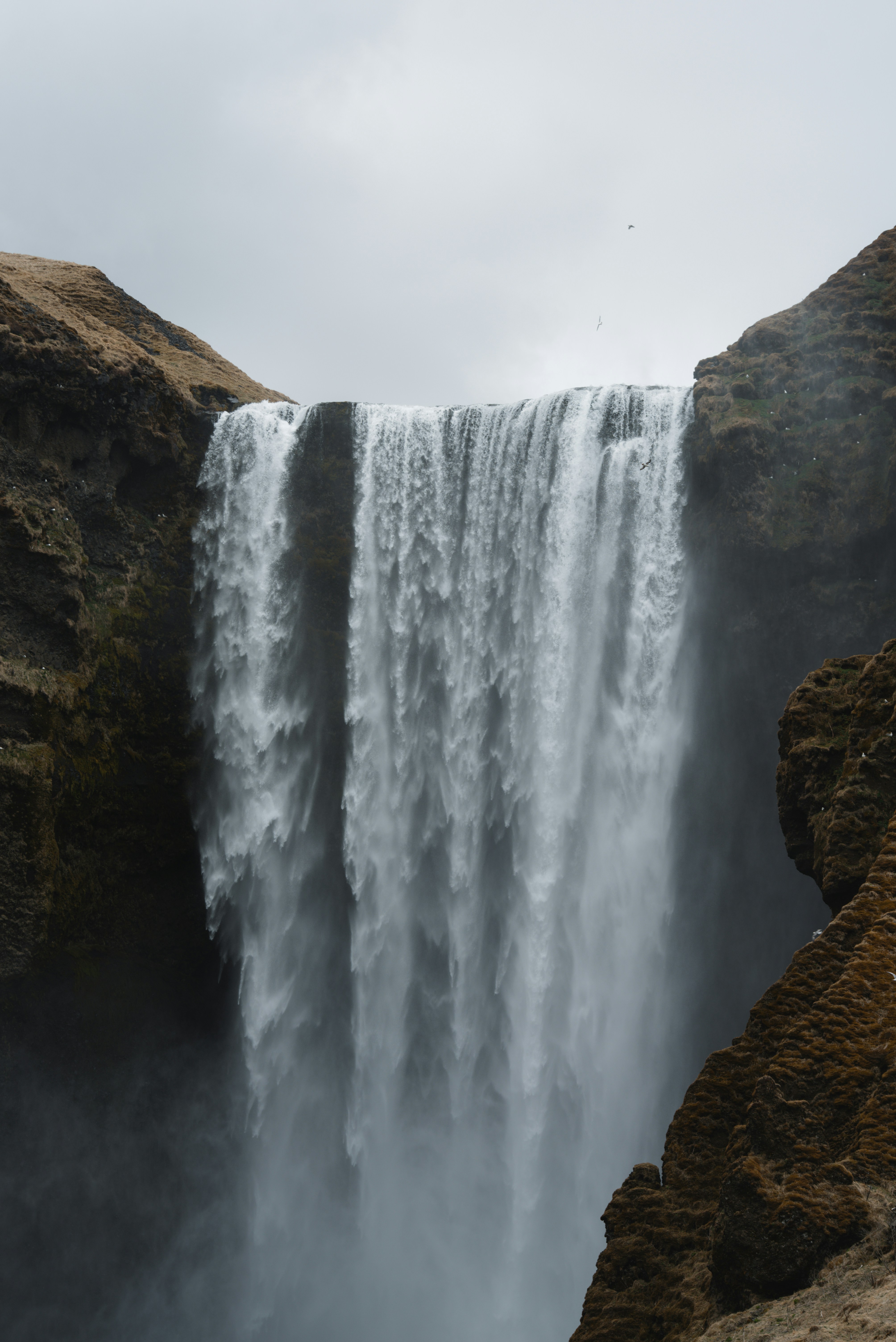 Basalt Curtain: Waterfall Between Stone Giants