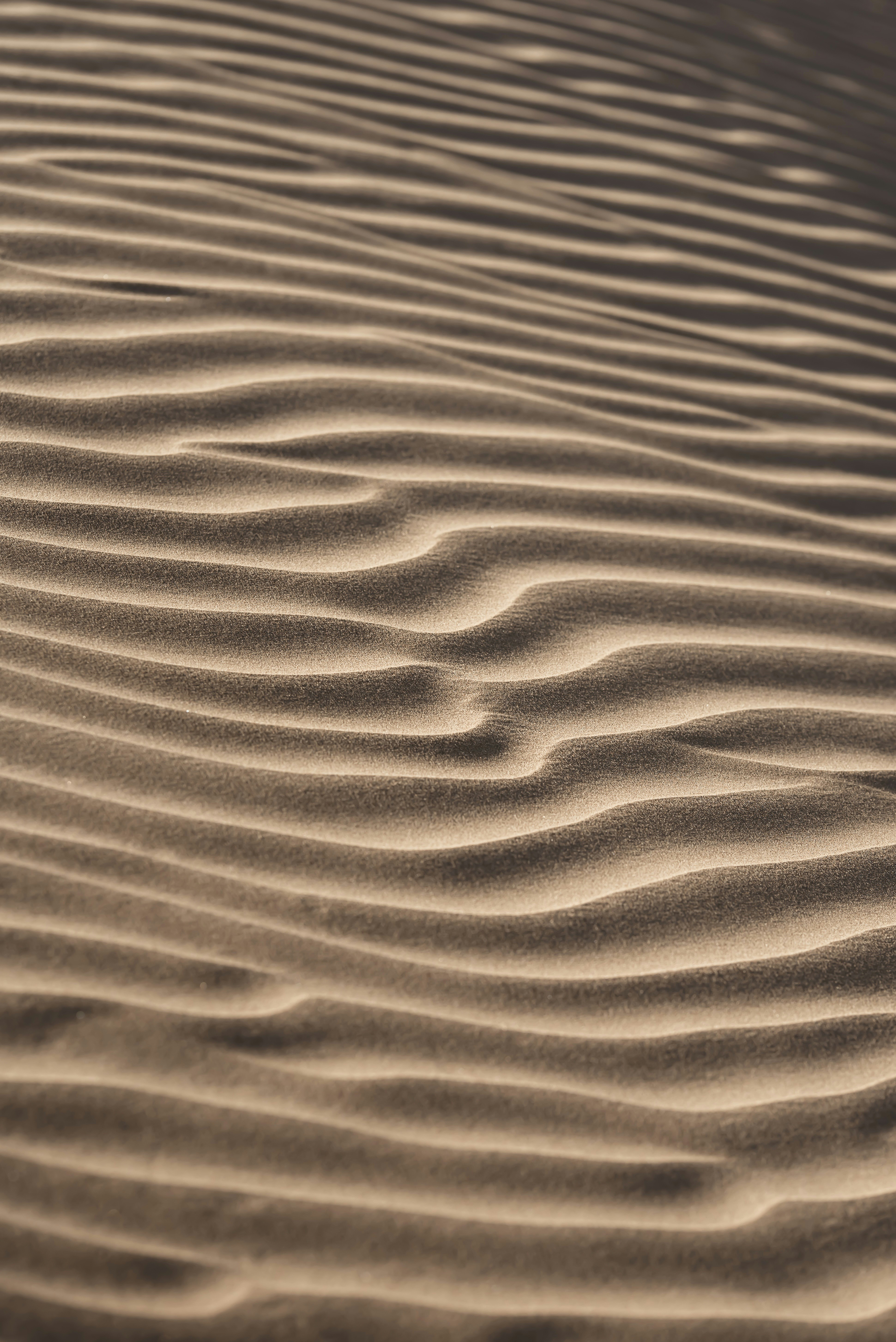 Whispers of the Dunes