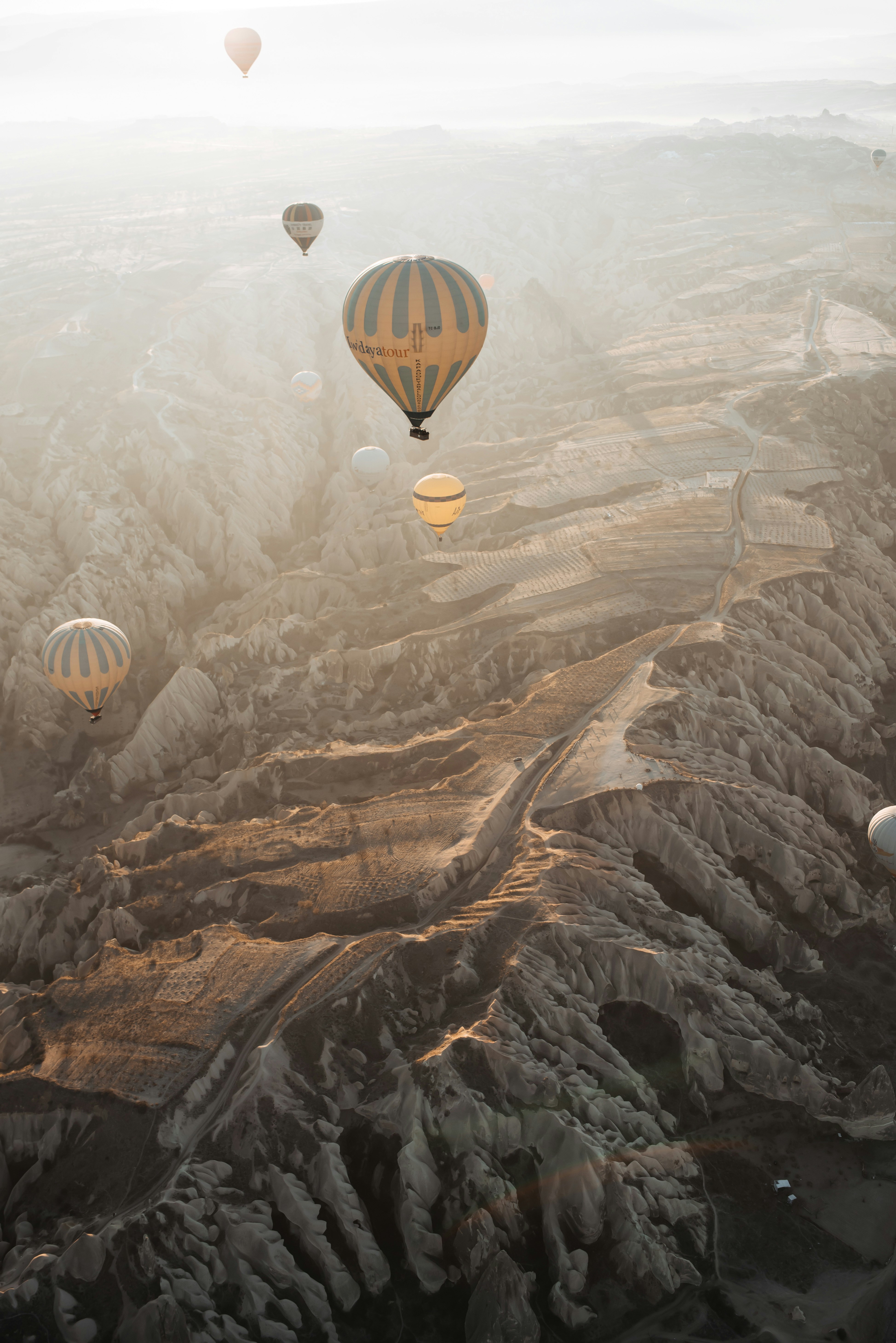 Drifting Dreams Over Cappadocia's Terrain