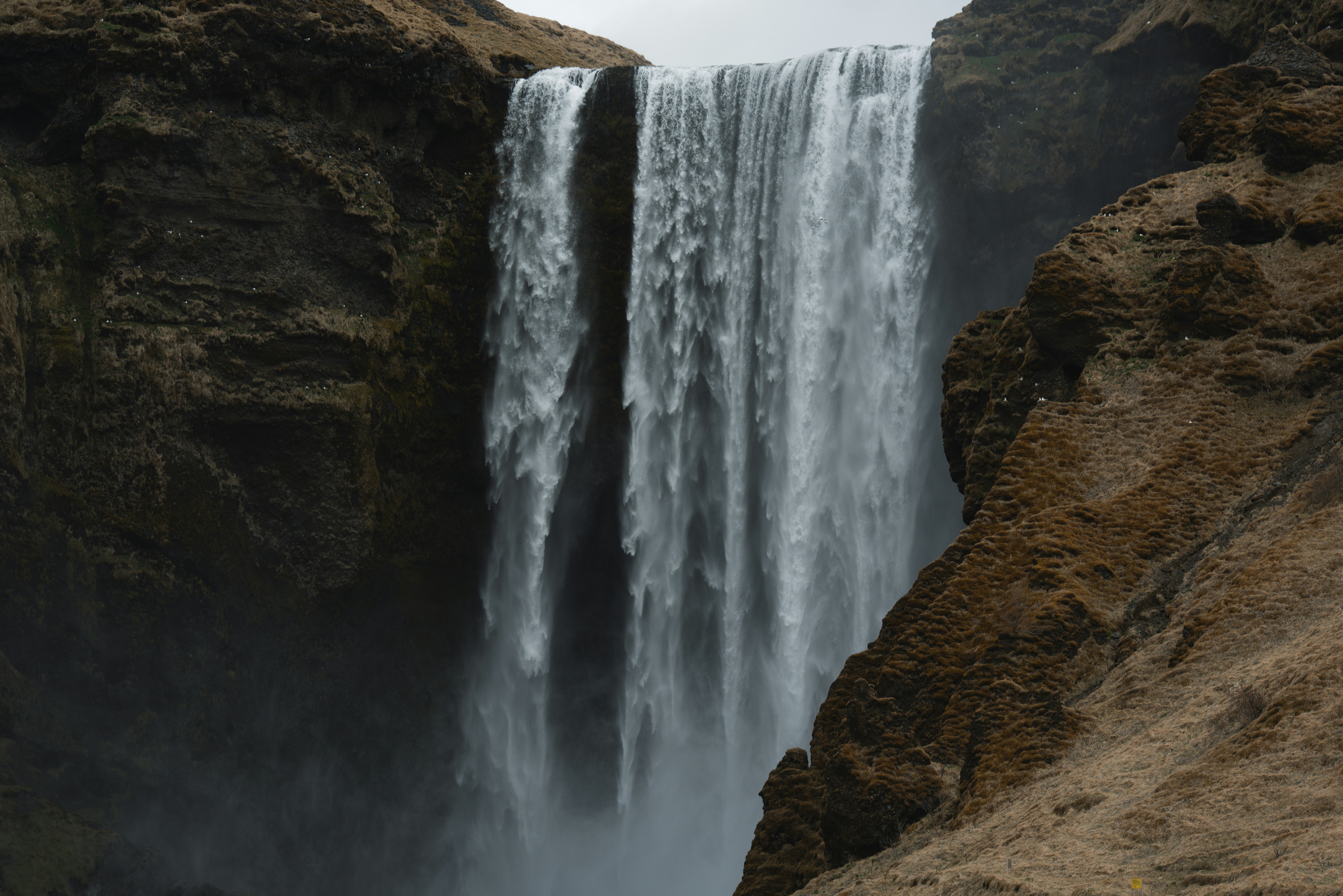 Veil of Water: Nature's Cascade