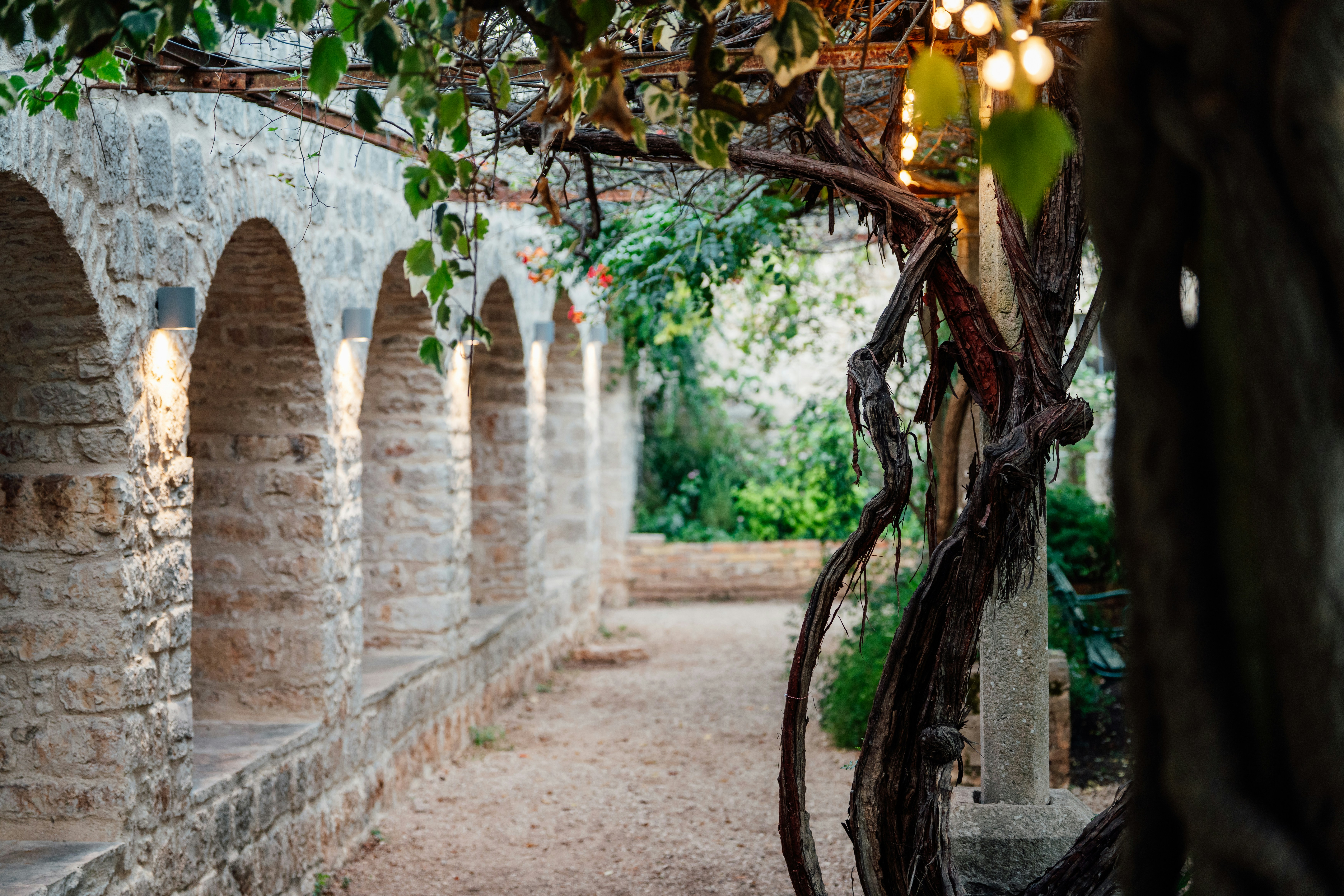 Photo by Josip Ivankovic with Sony Alpha 7 IV