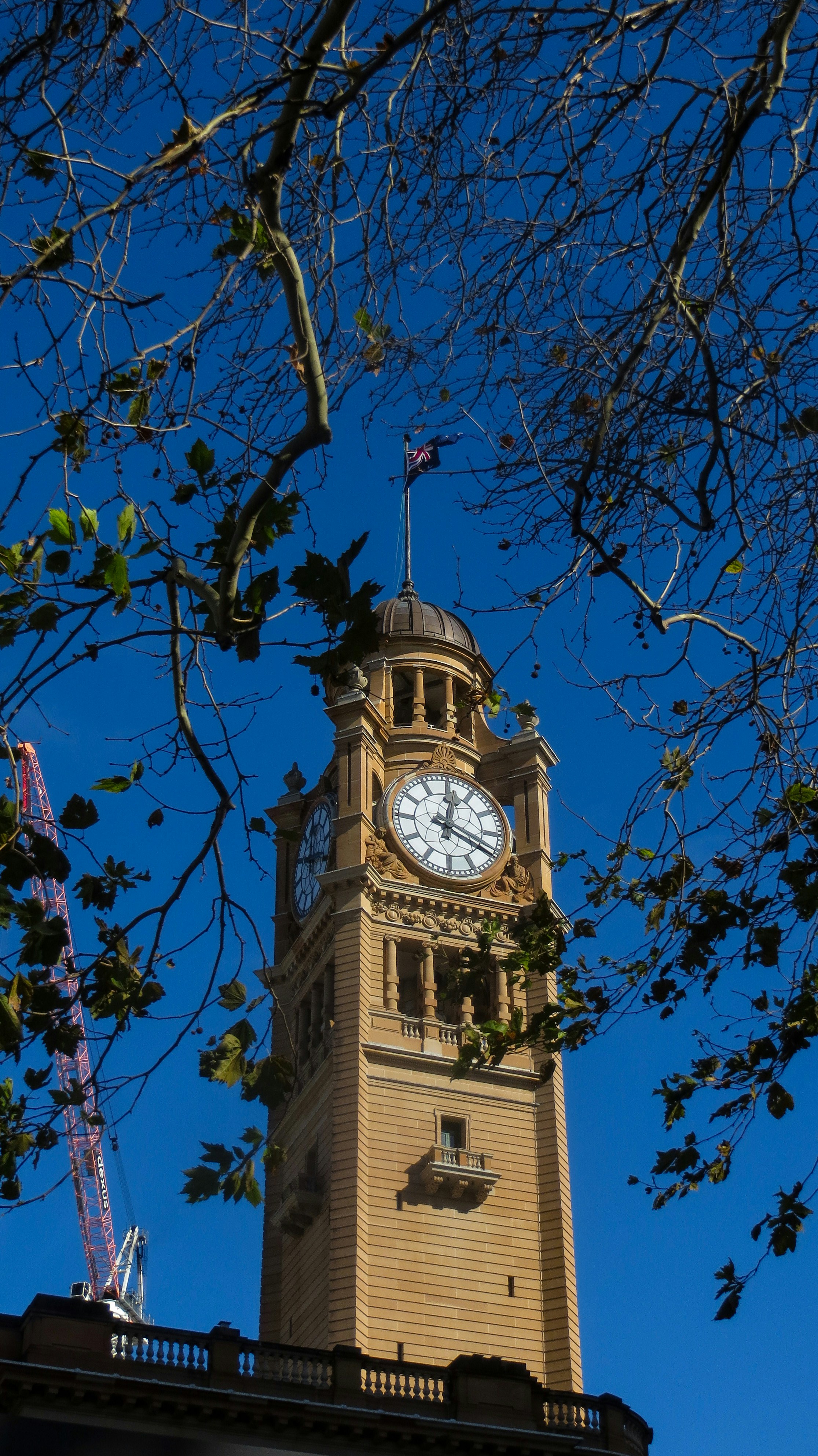 Tall clock tower with branches against blue sky