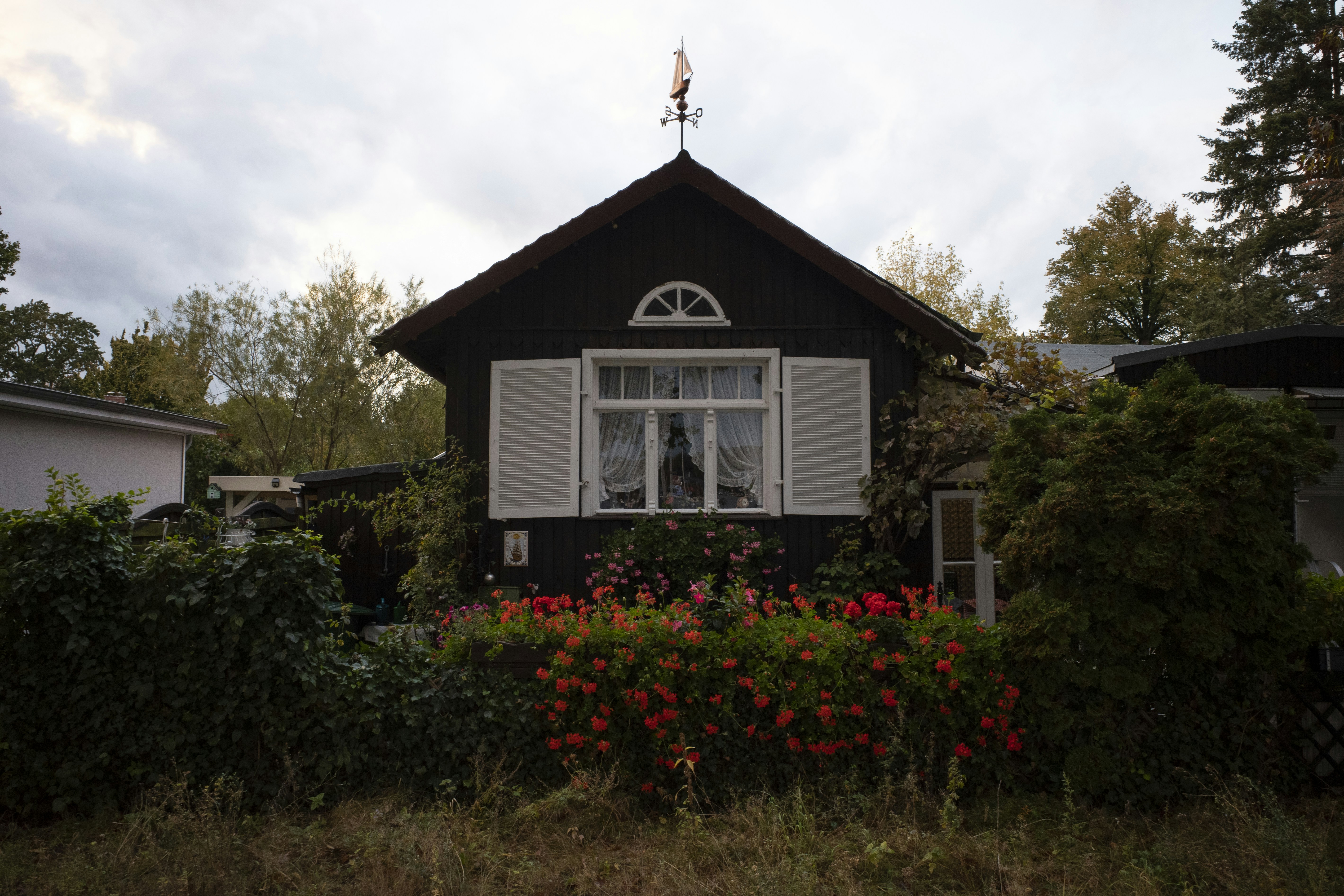 Charming Retreat Amidst Nature's Embrace