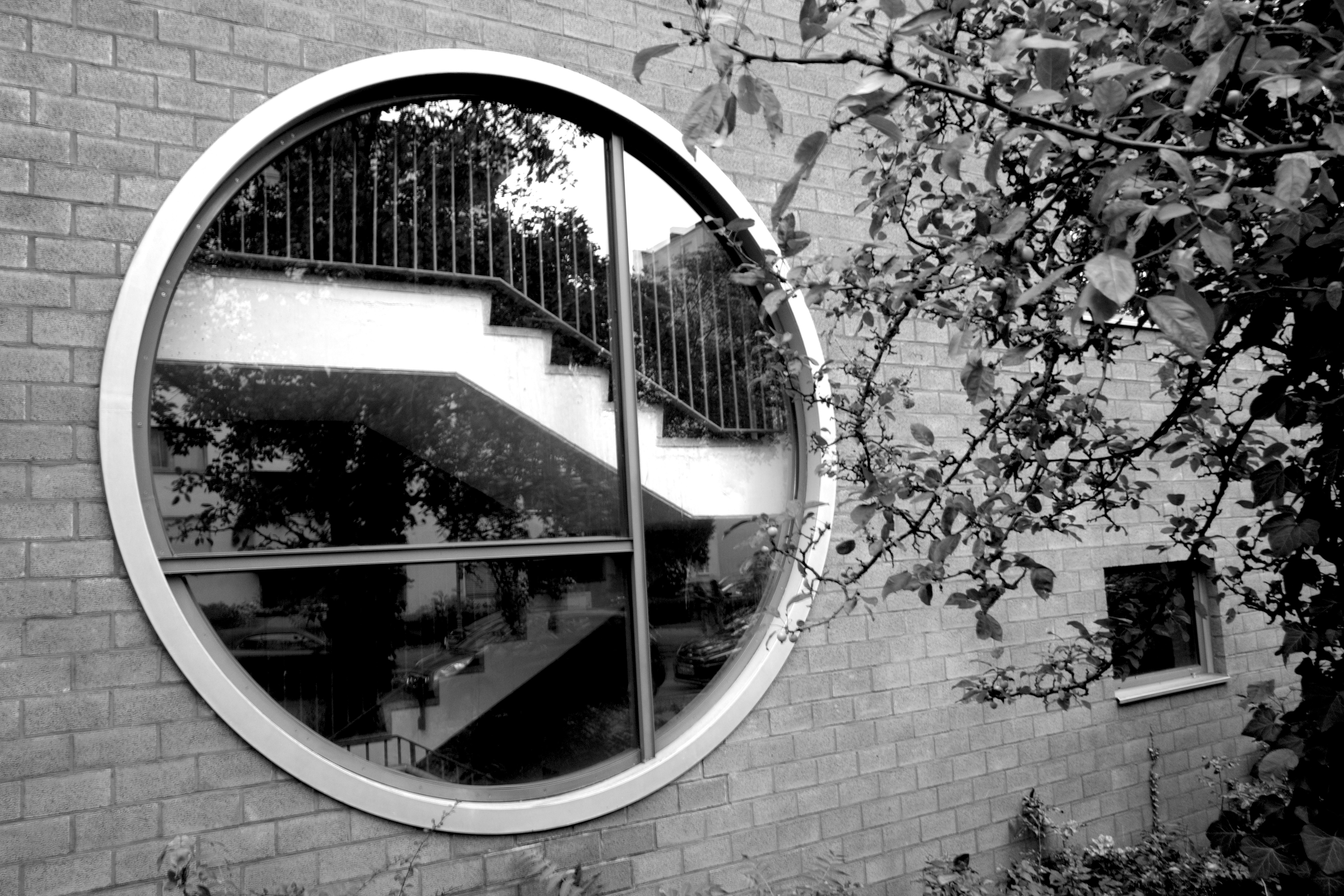Circular Glass Portal Framing a Staircase's Quiet Geometry