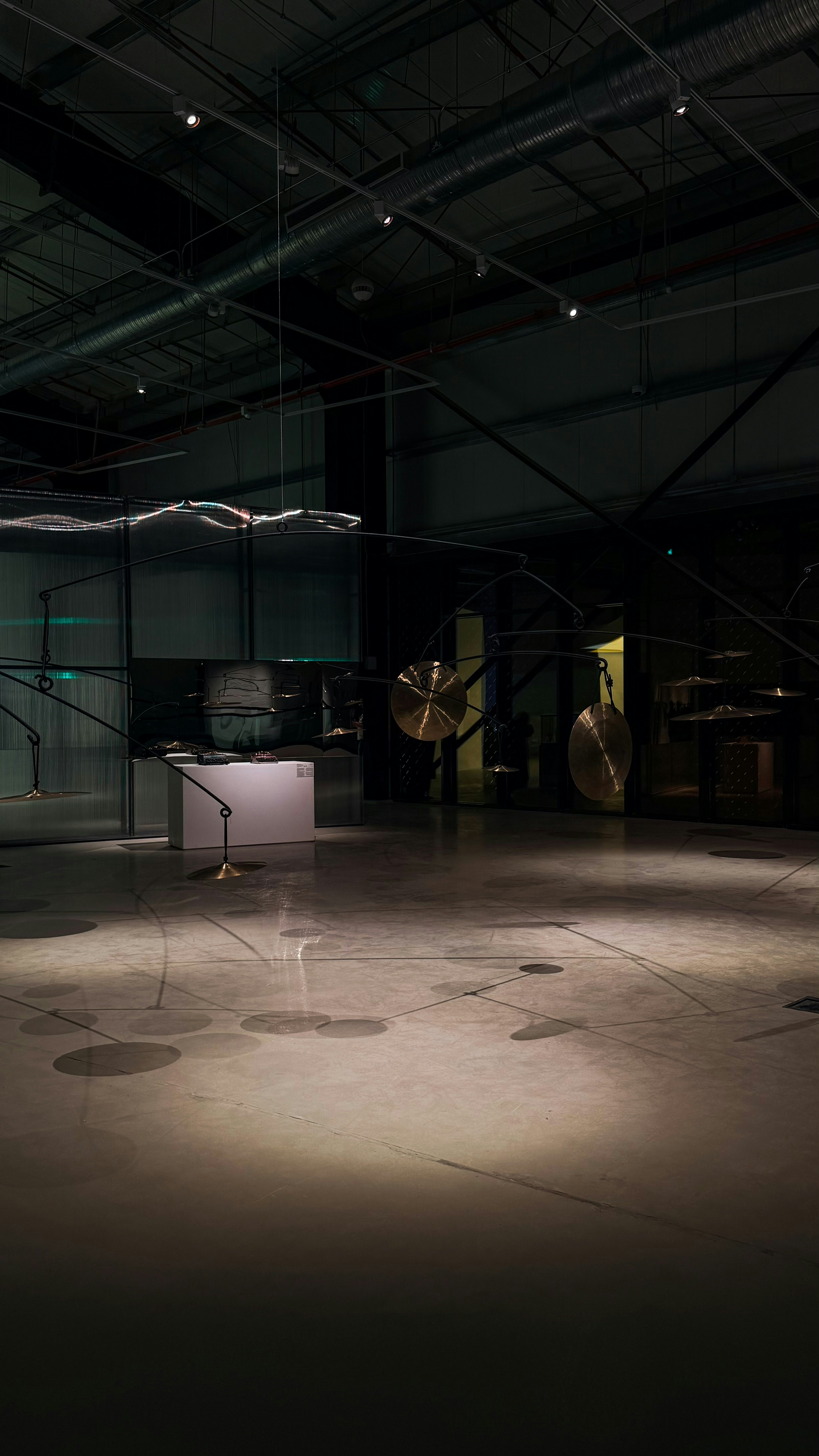Symphony of Shadows: A Dance of Light and Form