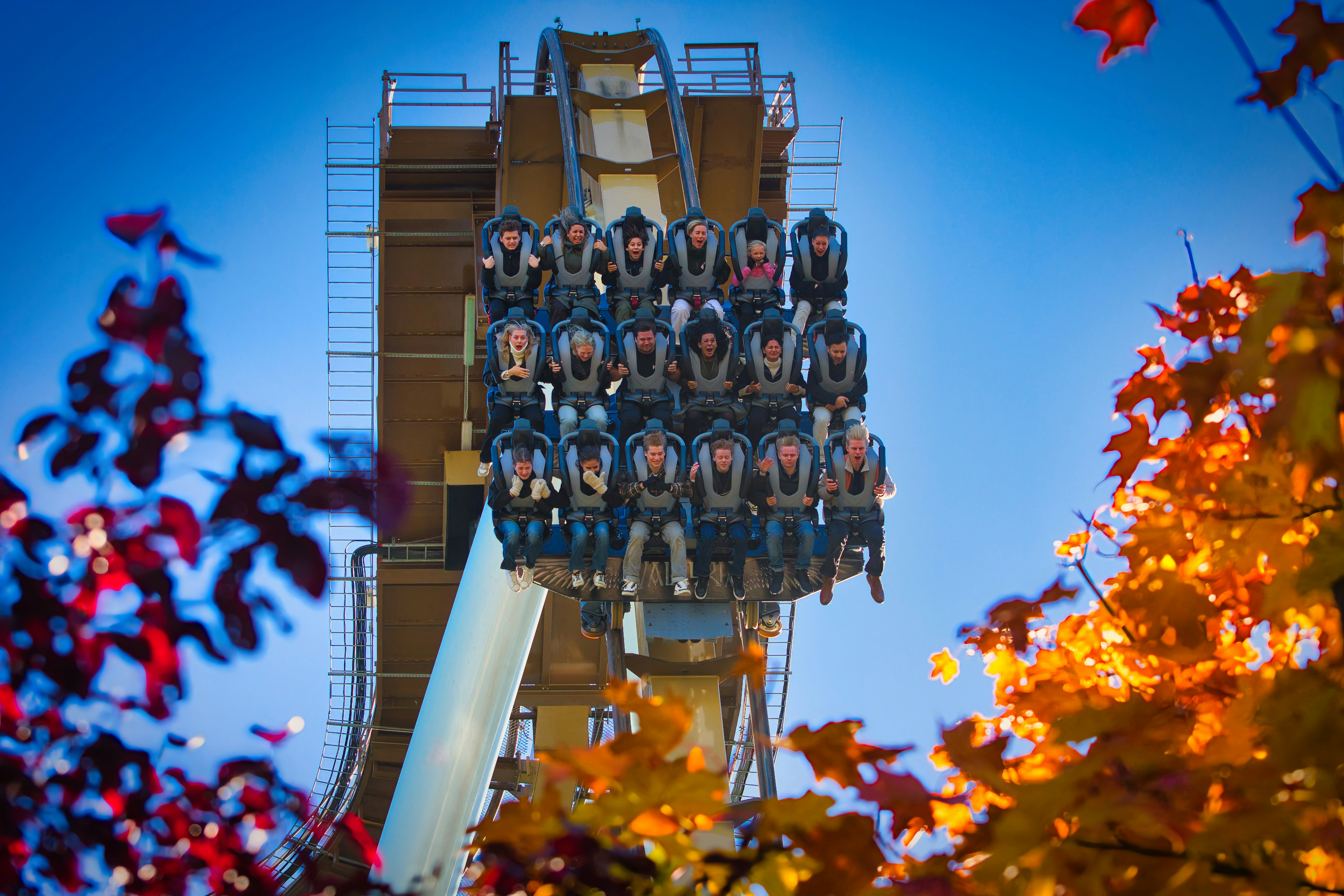 Roller coaster riders suspended mid-air against a backdrop of vibrant autumn foliage.