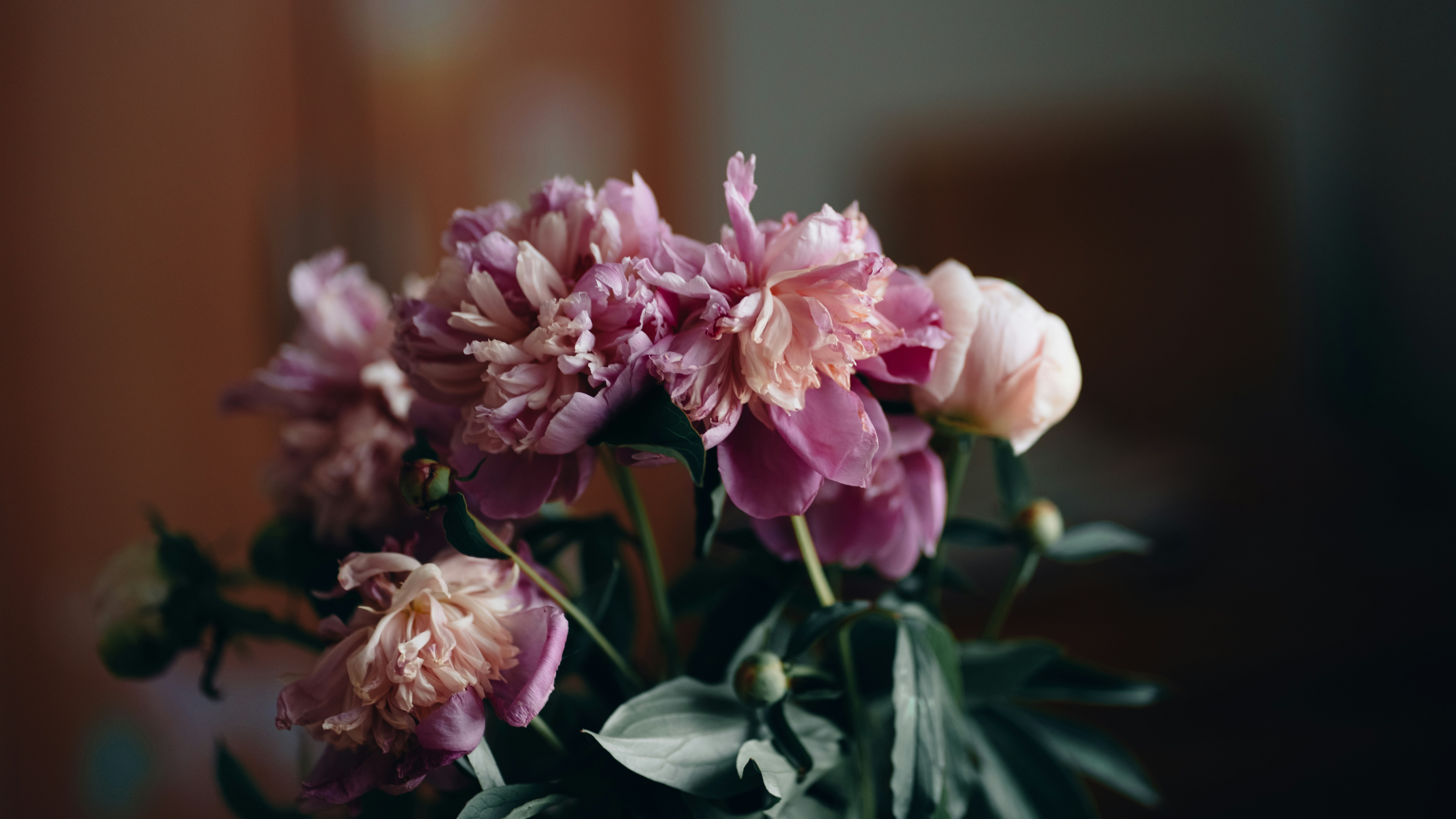 A bouquet of pink peonies with green leaves.