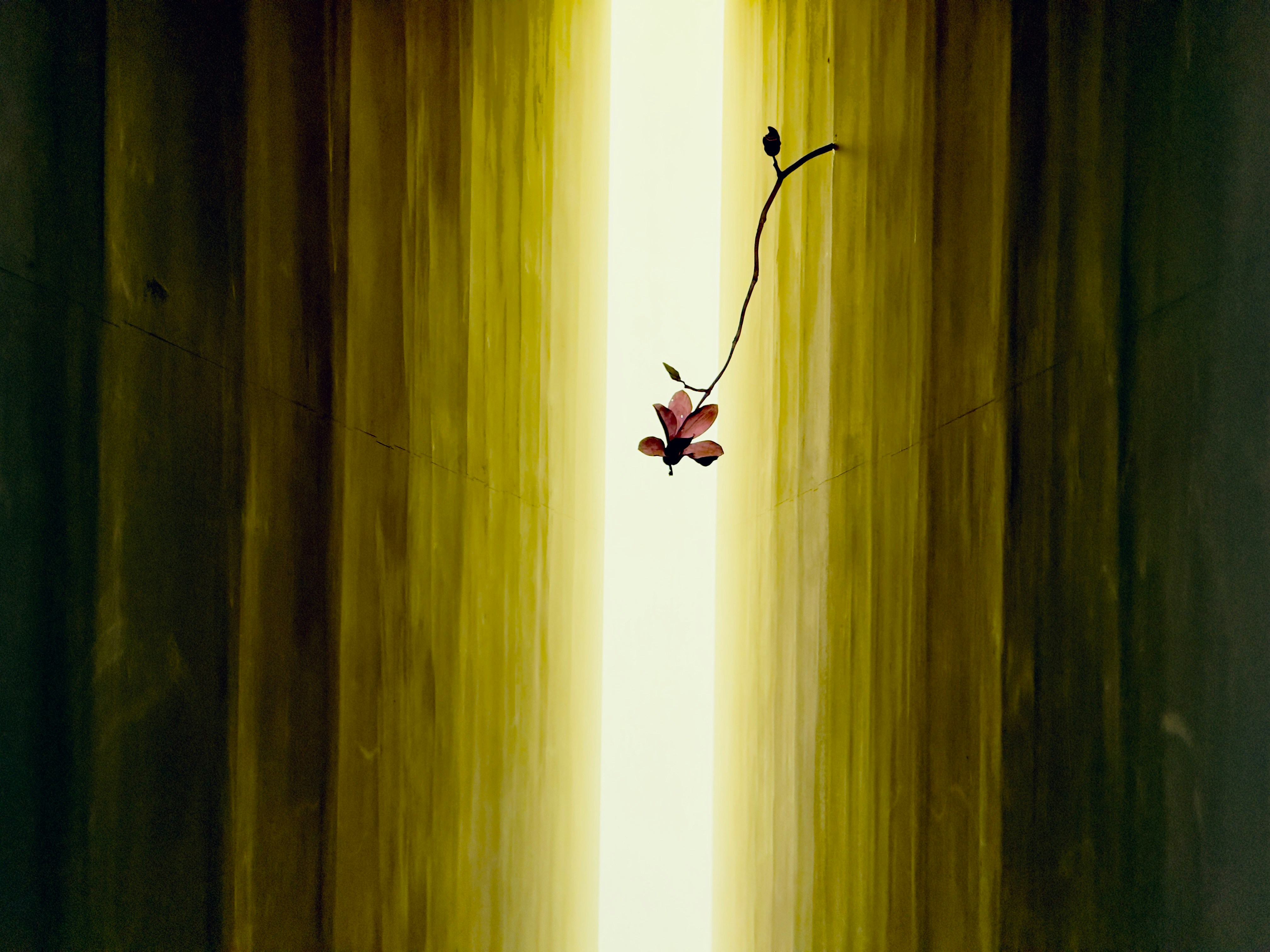 Resilience in the Void