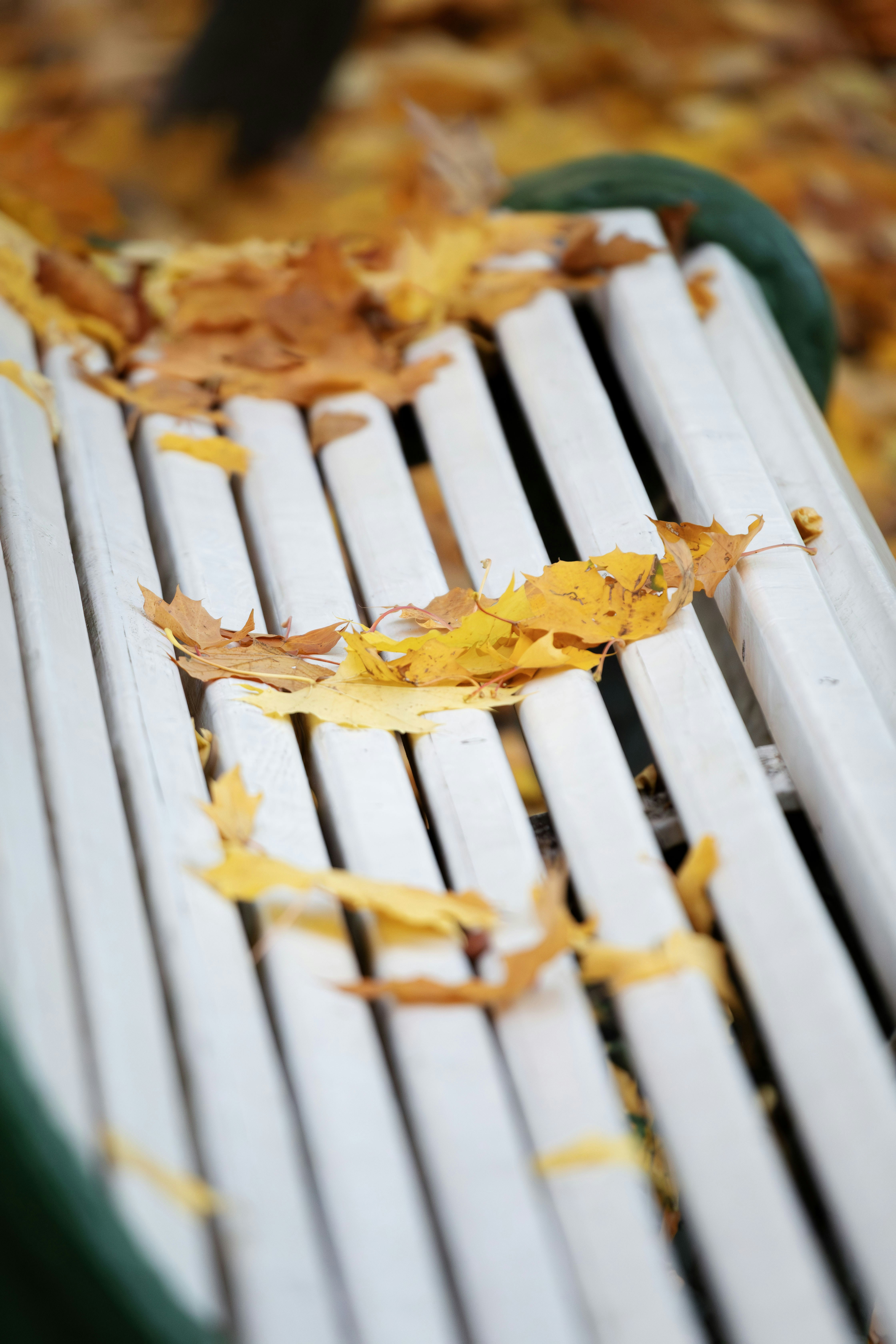 Yellow and orange leaves scattered across a wooden bench, capturing the essence of autumn's transition. The scene evokes a sense of nostalgia and tranquility.