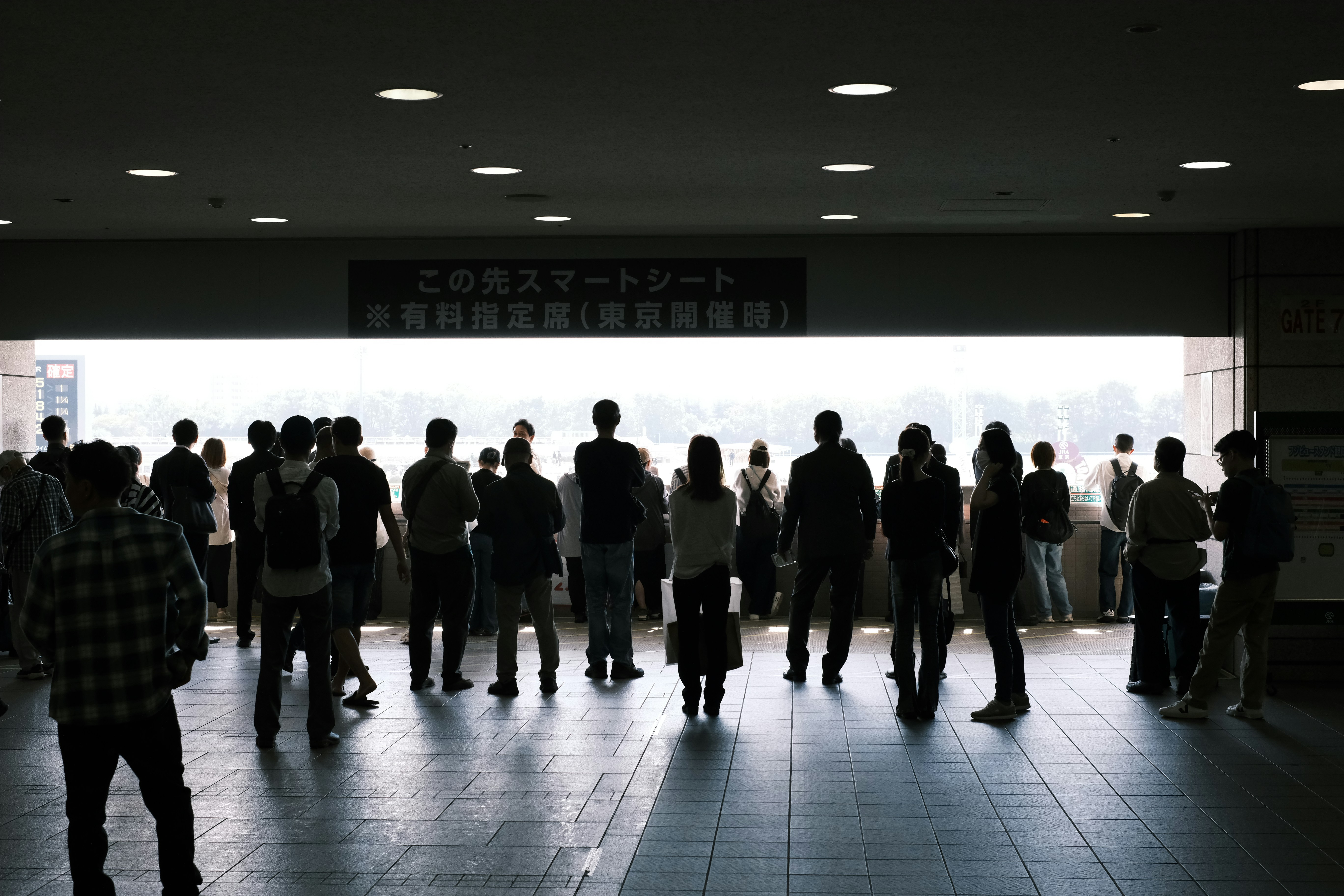 y mashi (@mashimashi) | Unsplash 사진 커뮤니티