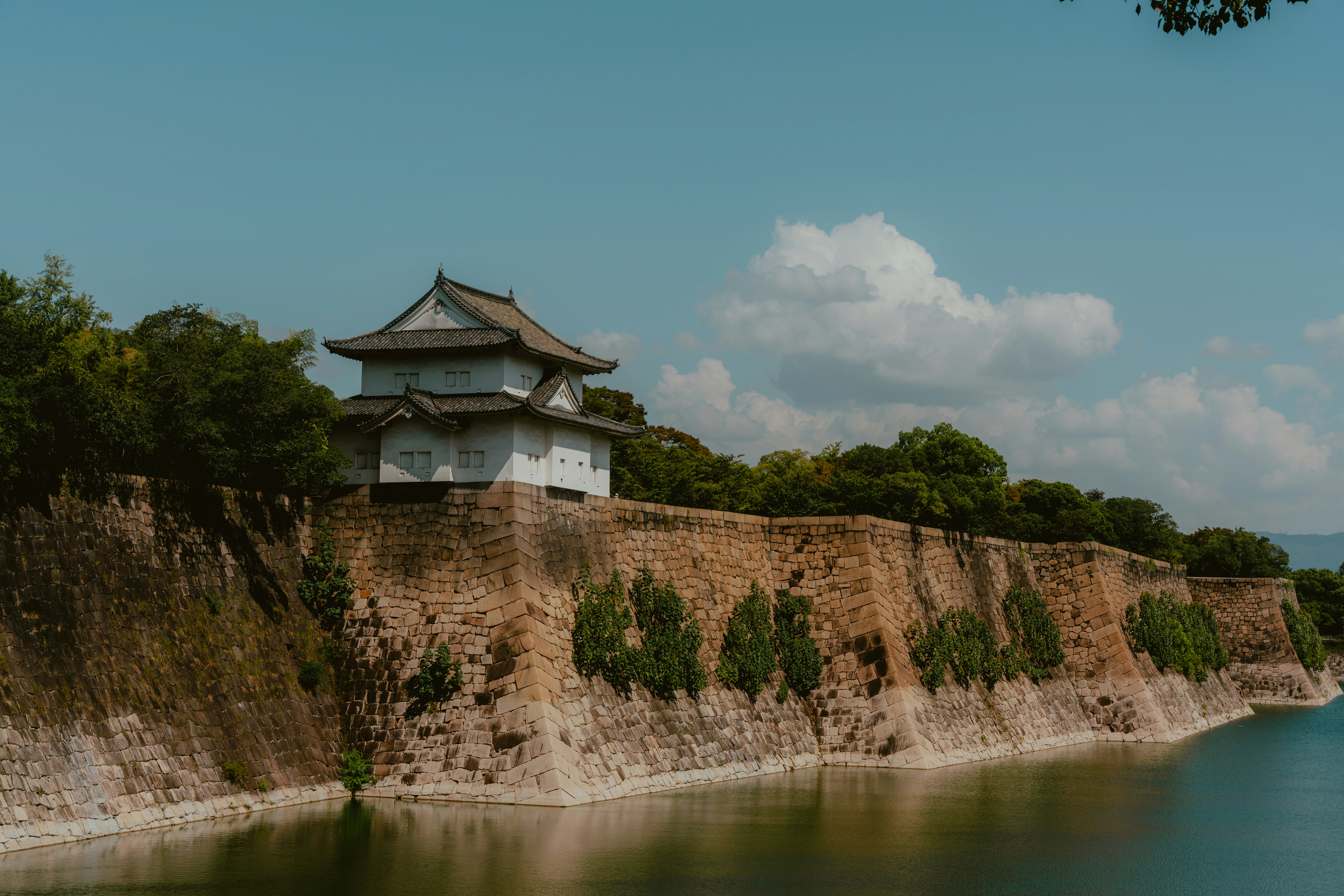 Fortified Serenity: The Guardian of the Riverbank
