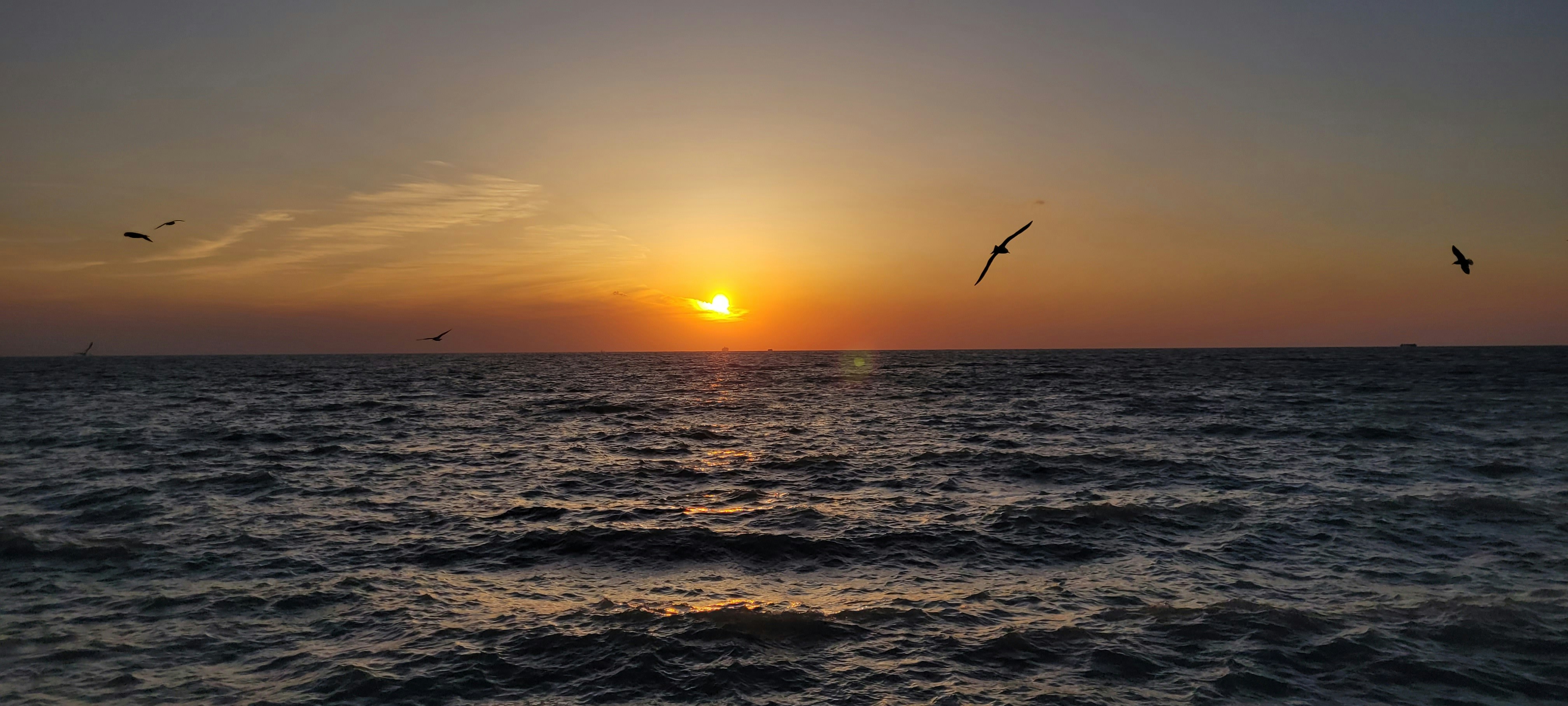 Golden sun dipping below the horizon, casting warm hues across the tranquil sea, with silhouettes of birds in flight. 
