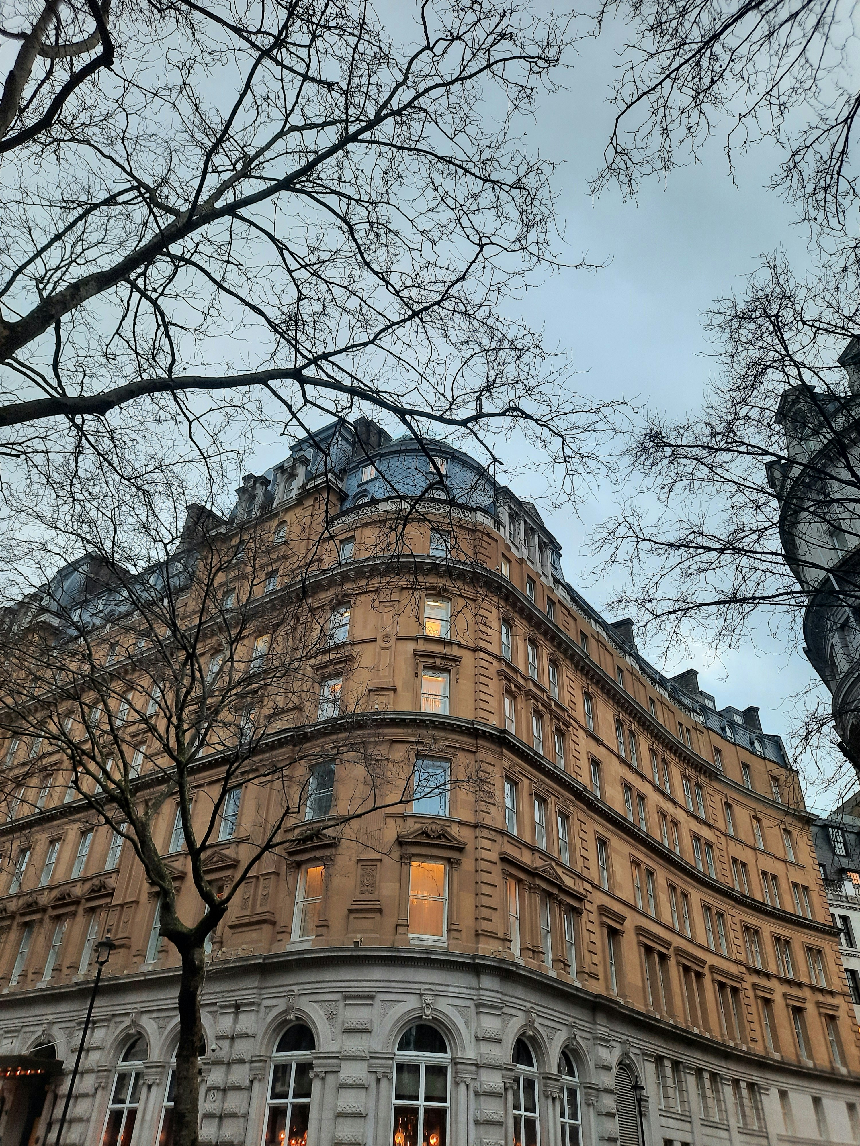Historic building with ornate architecture and curved facade, framed by leafless trees against a moody sky.