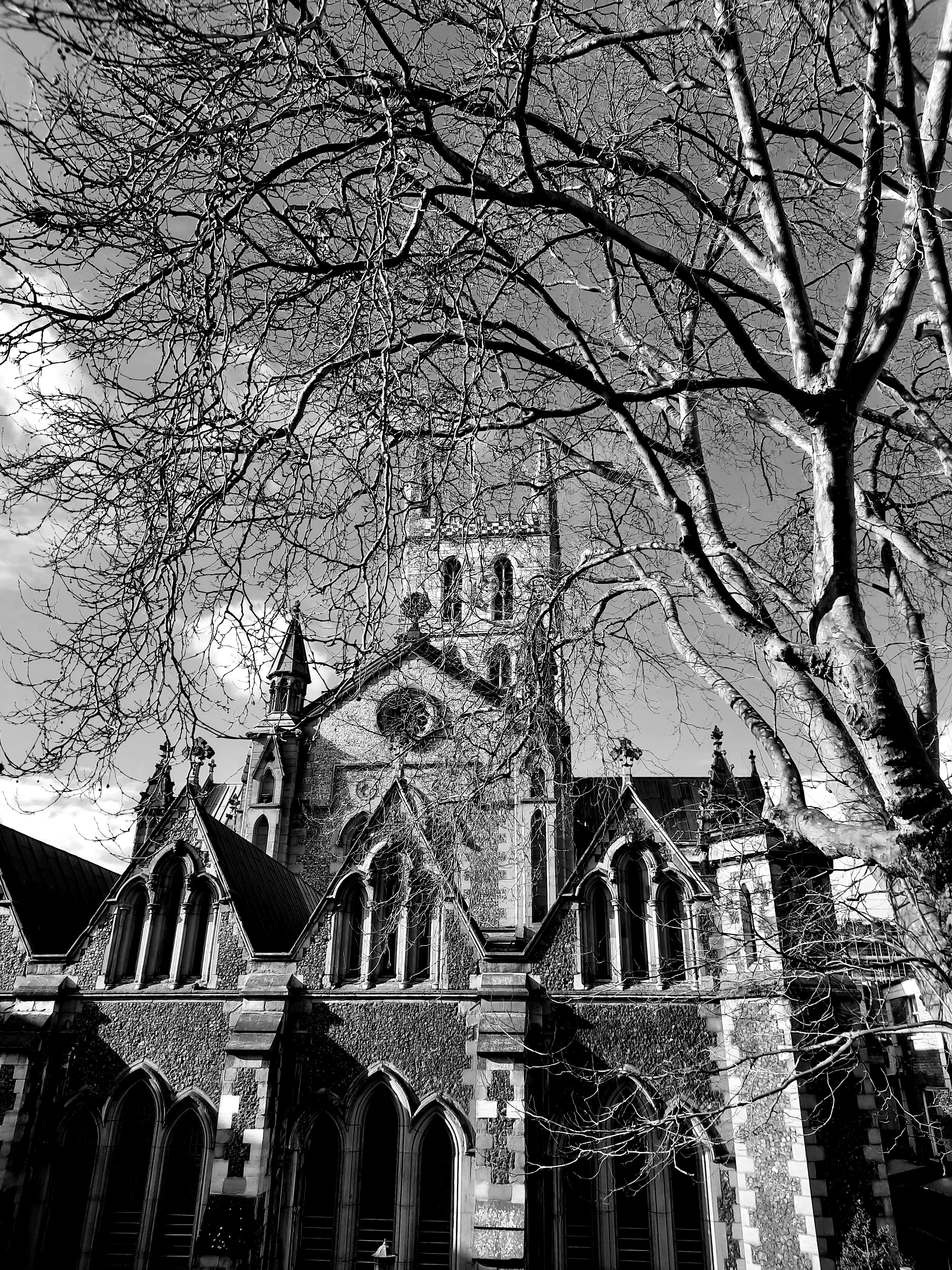 Intricate Gothic architecture framed by bare tree branches under a cloudy sky.