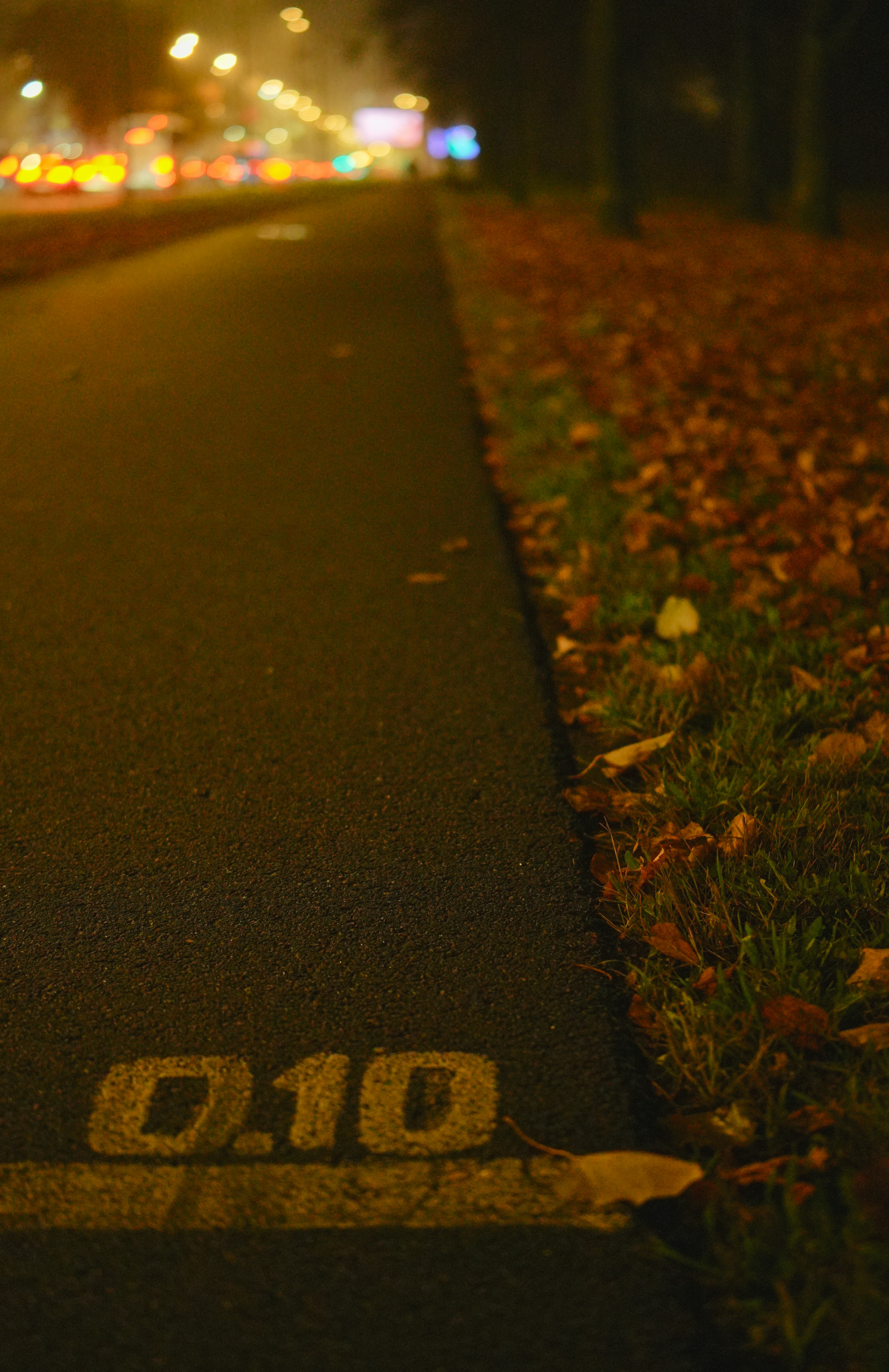 Whispers of Autumn: A Pathway to Reflection