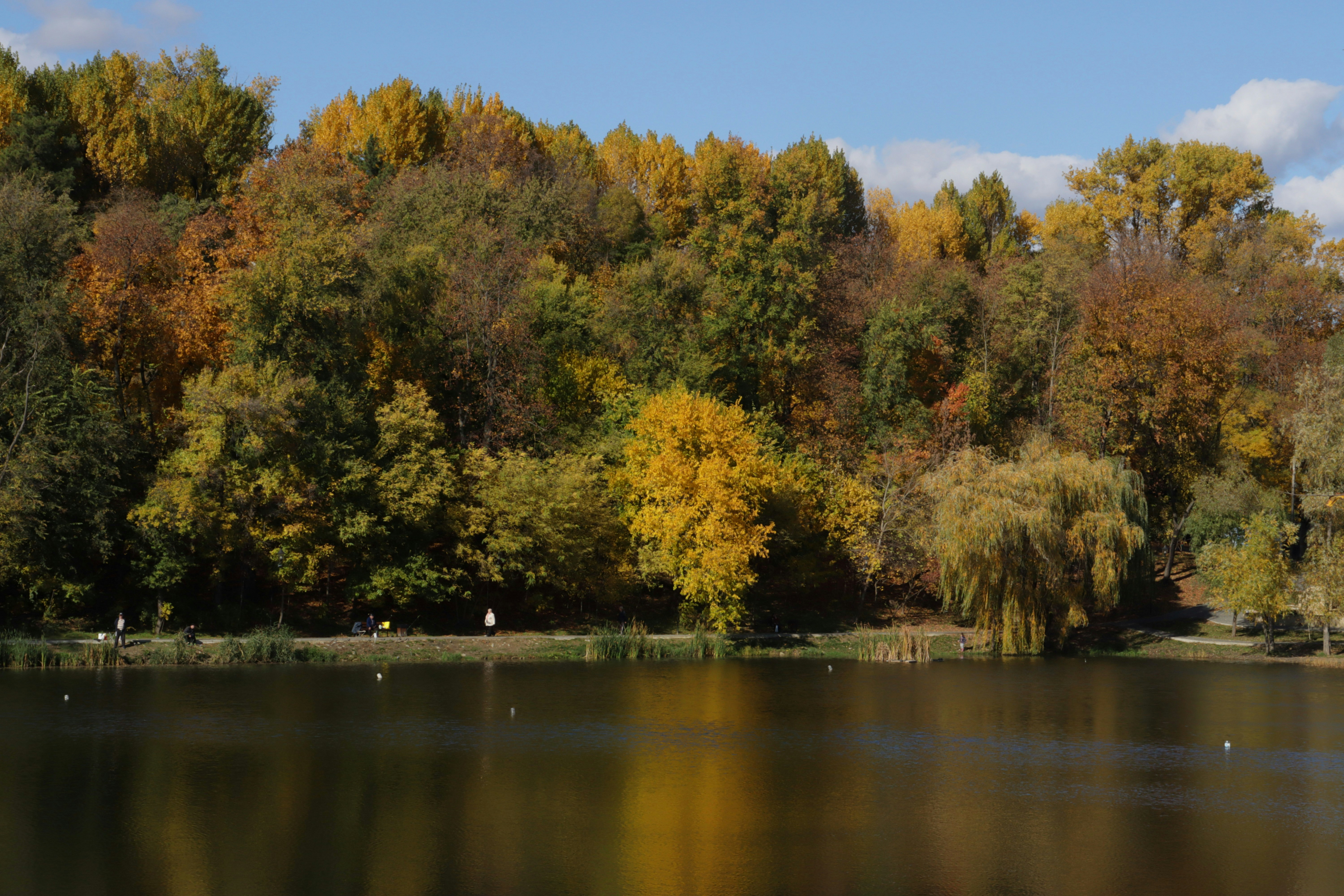 Fall's Mirror: Reflections of Autumn Along a Quiet Lake