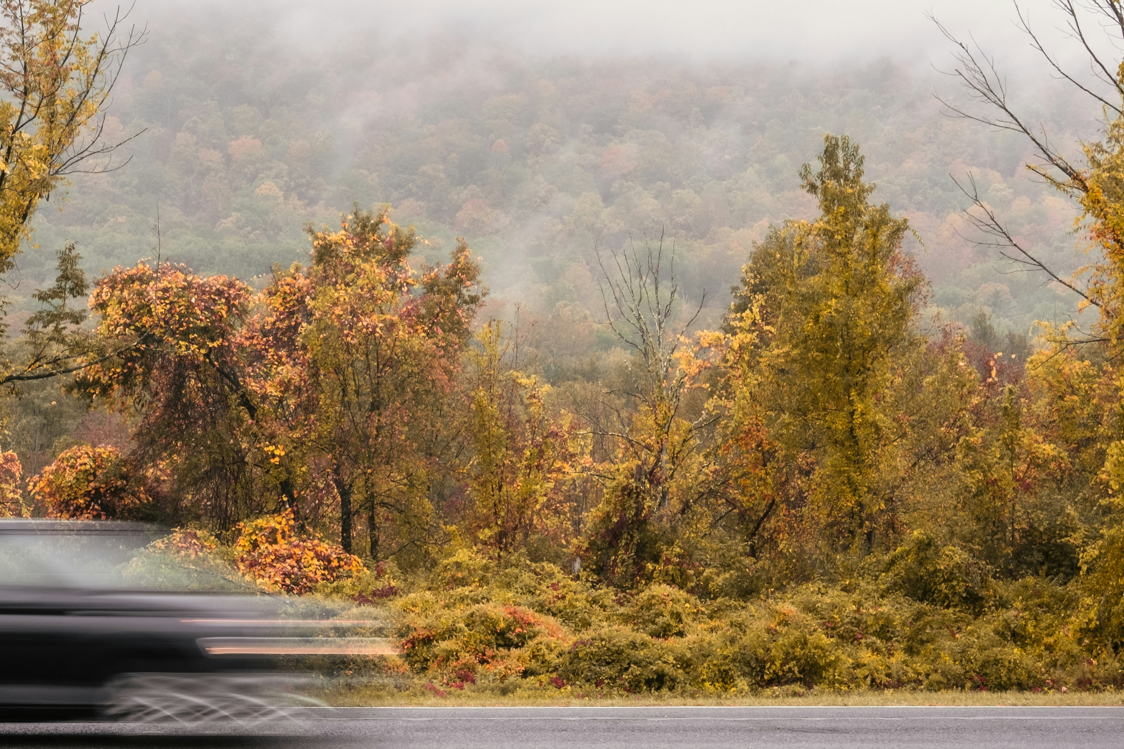 Blurred Highway Dash Through Autumn Corridor