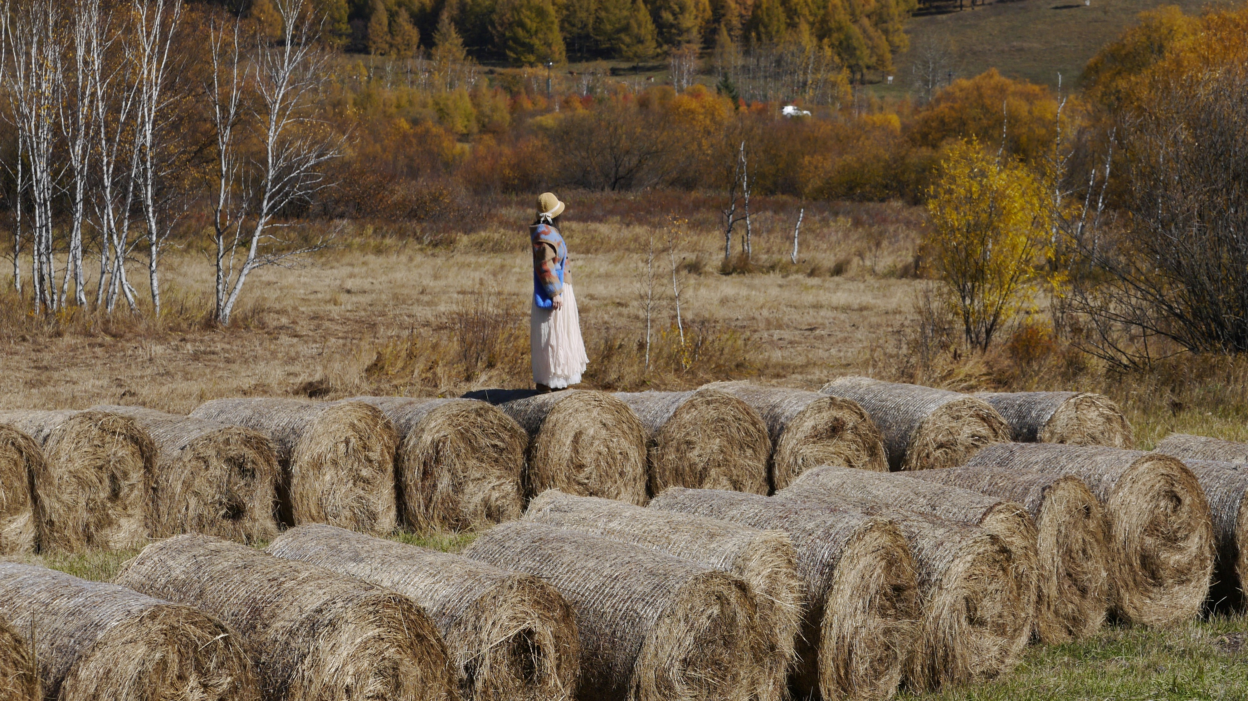 A figure in a flowing dress stands among rolled hay bales in a vibrant autumn landscape, surrounded by golden foliage and distant hills.