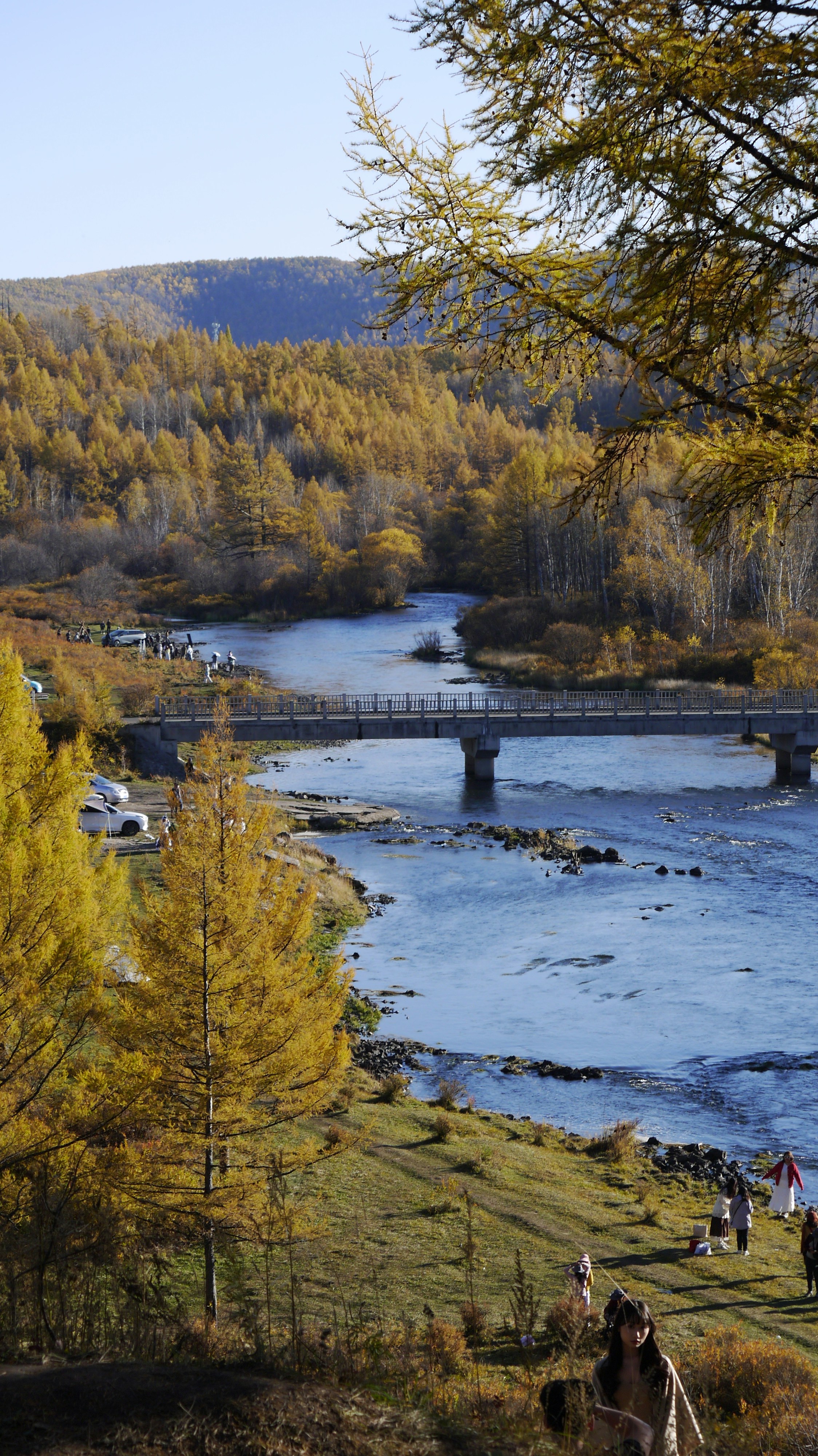 Autumn Riverfront Overlook with a Cedar Bridge
