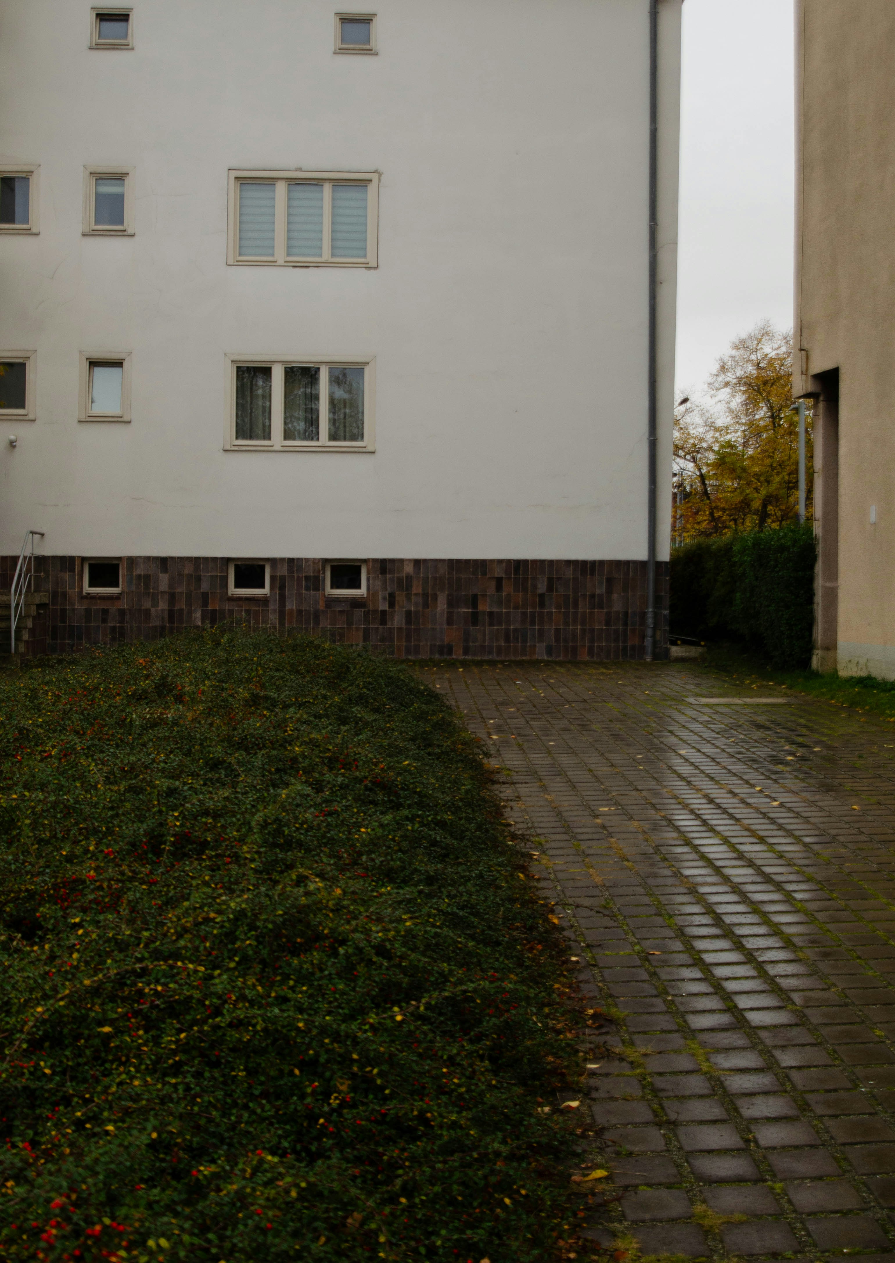 Rain-Soaked Courtyard: Geometry of a White Facade and Wet Cobbles