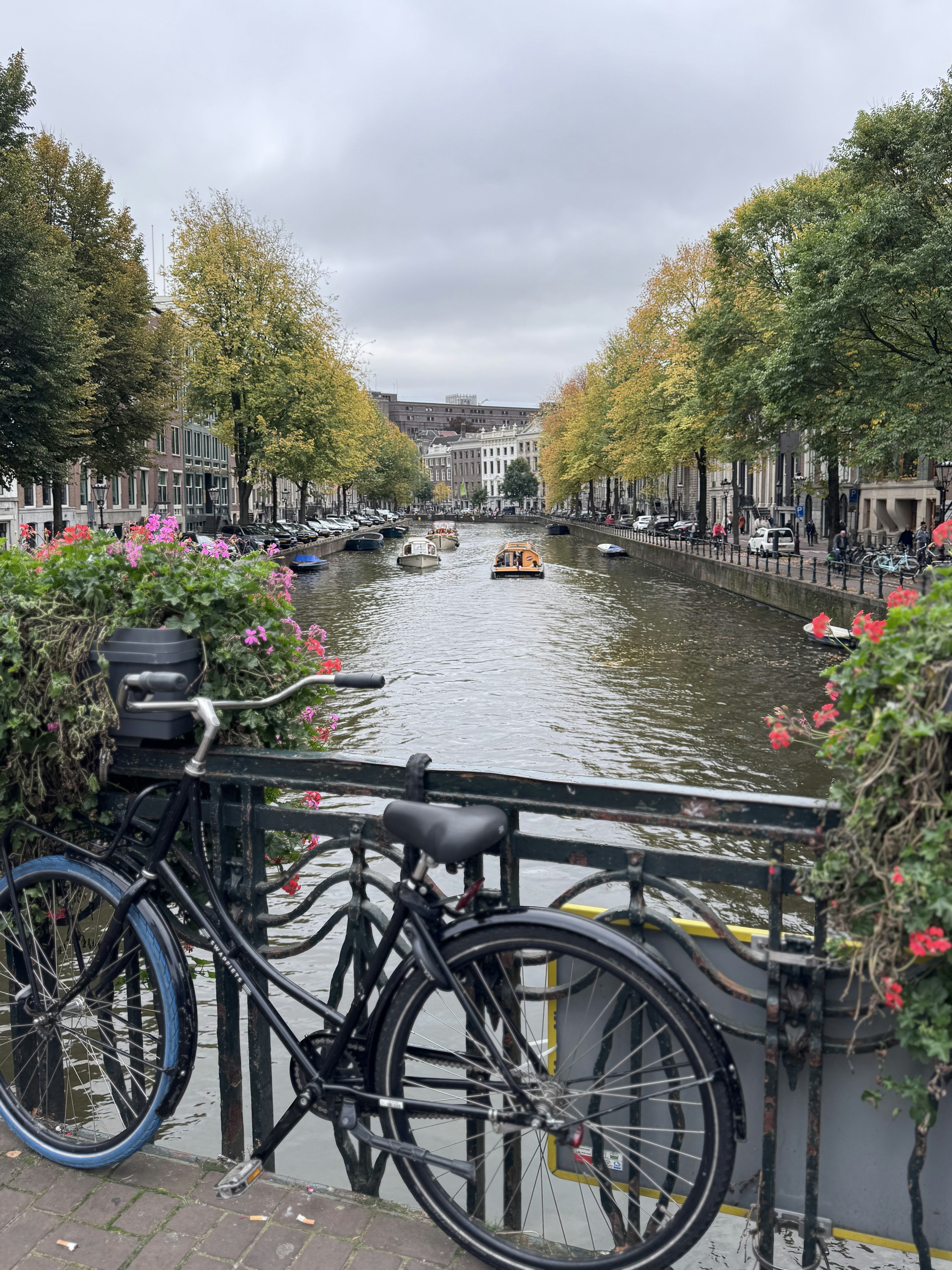 Autumn Reflections on Amsterdam's Canals