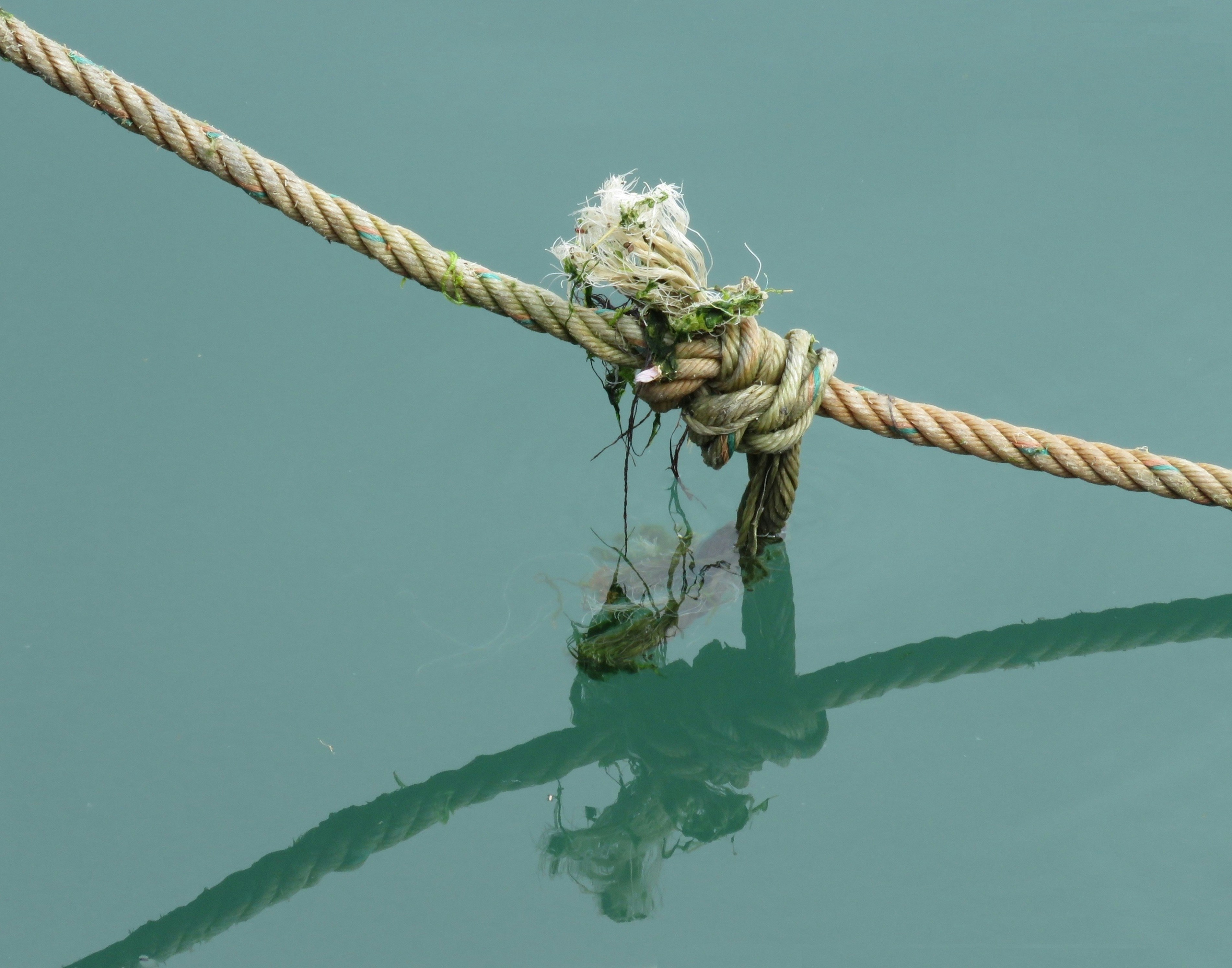 Tangled Stories Beneath the Surface