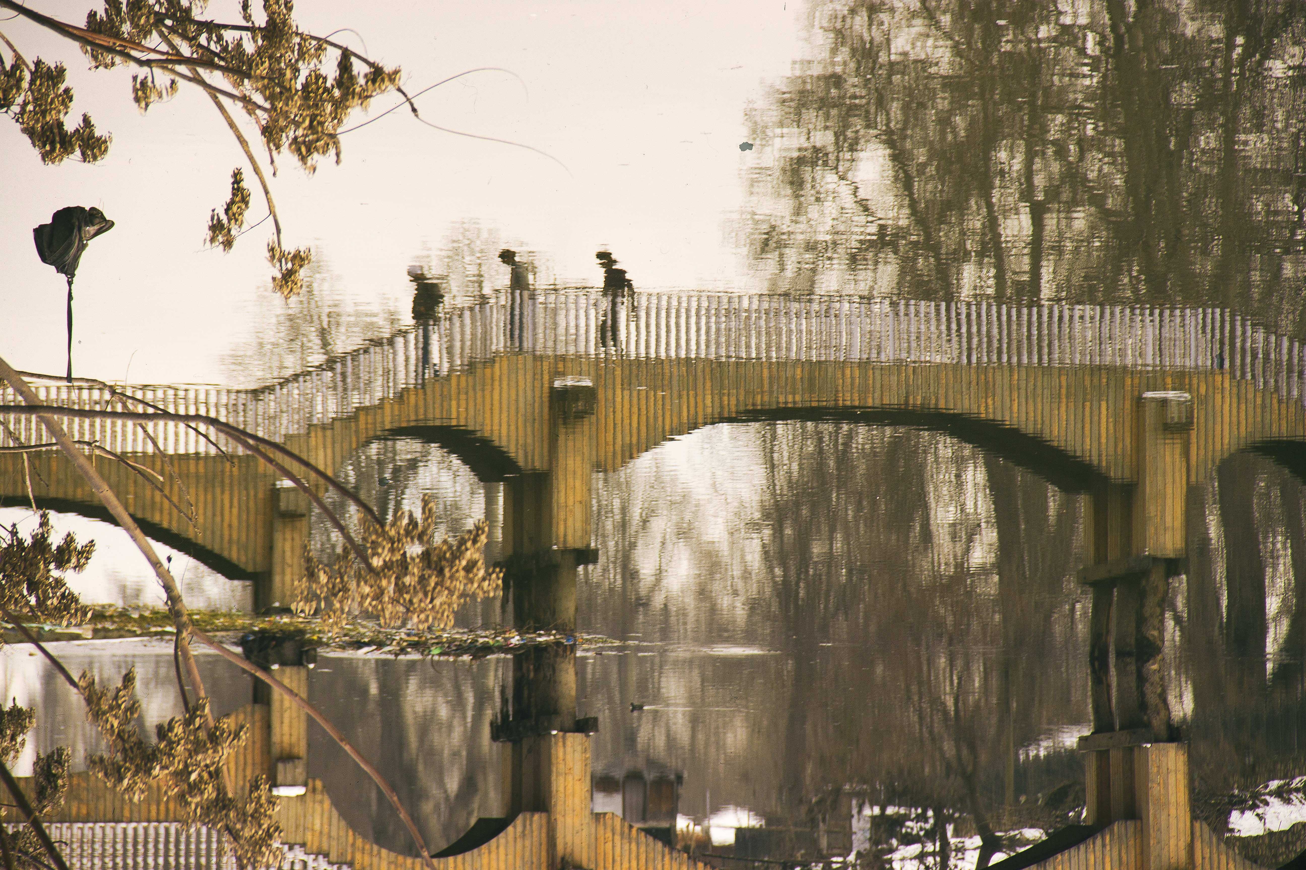 Reflections of Tranquility: A Bridge's Serenade