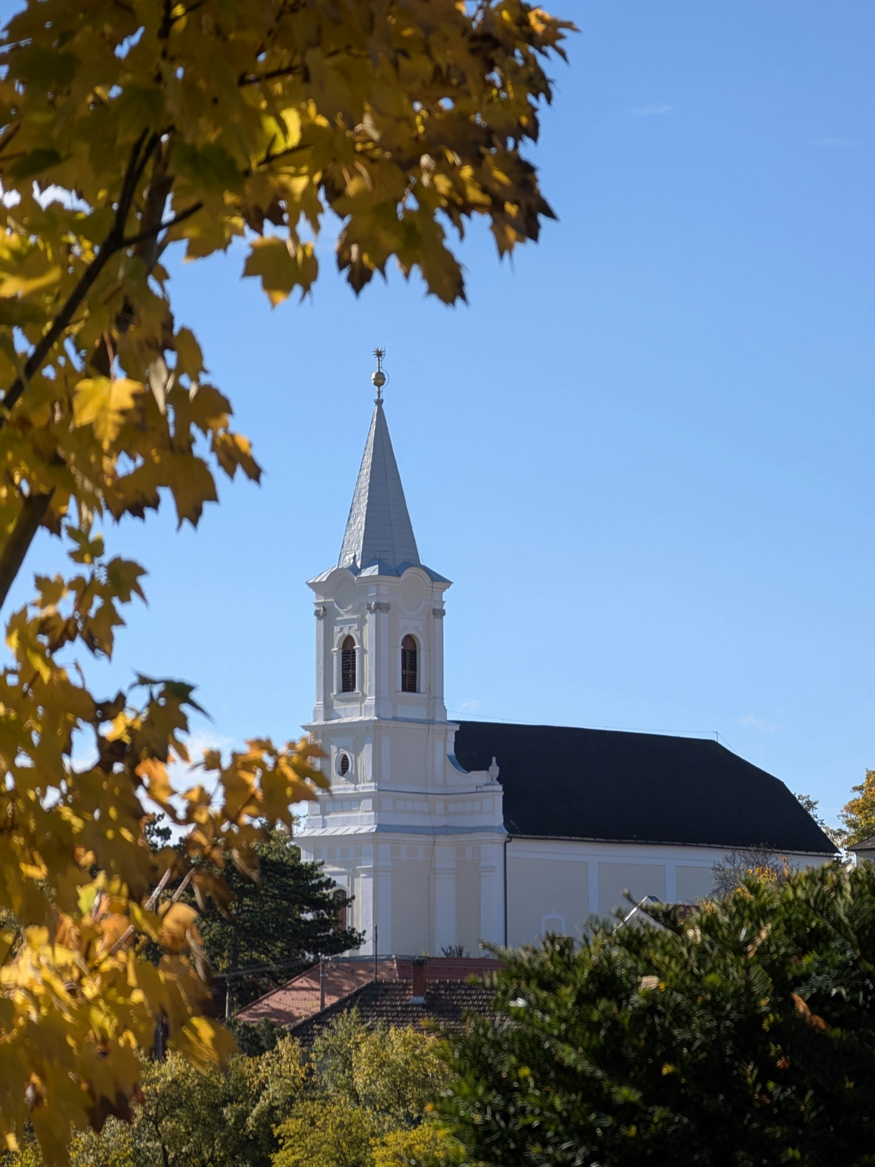 Sample photo from Google Pixel 9 Pro Fold