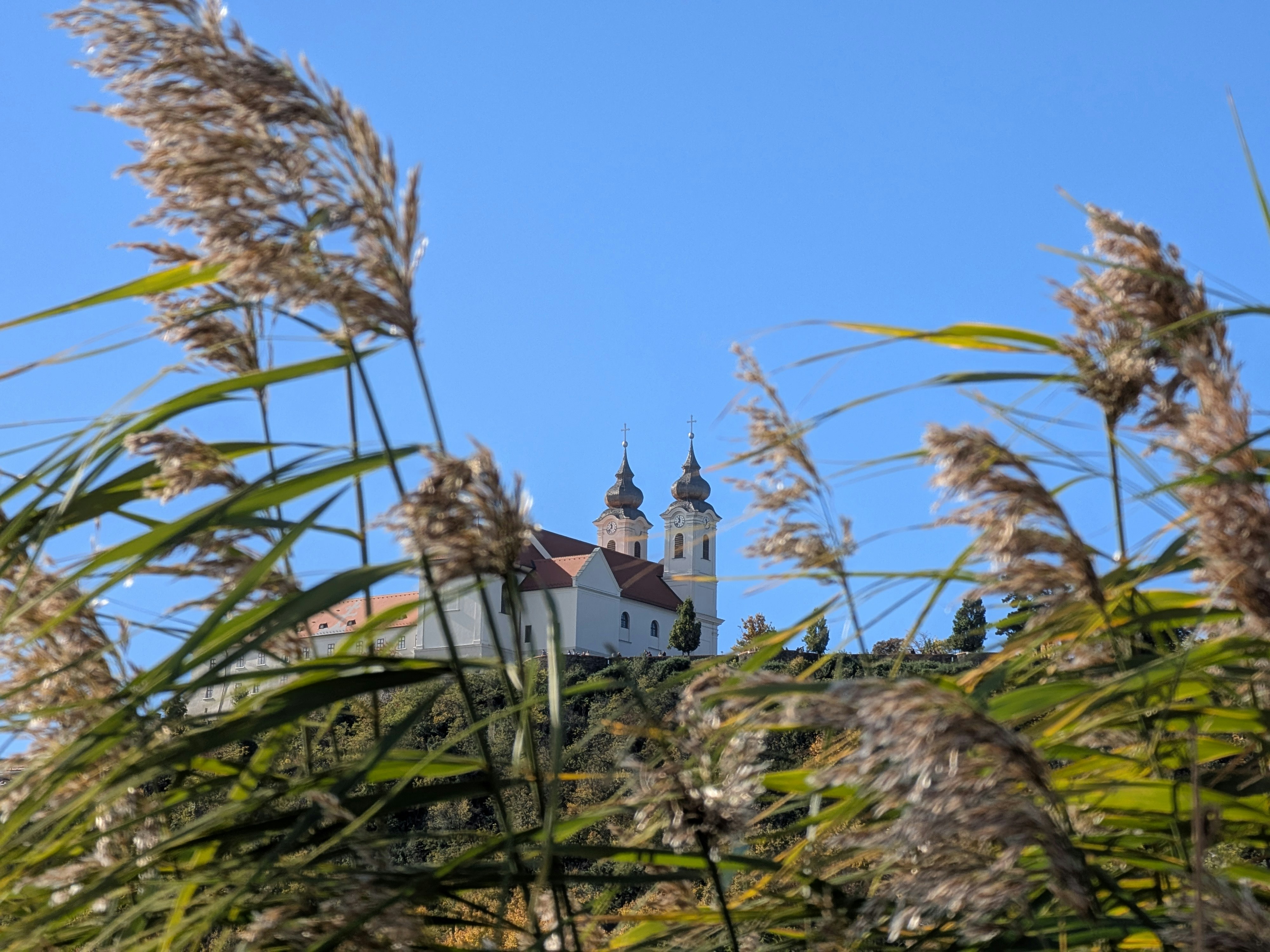 Chapel Towers Peeking Through Reed-Fringed Light Under Cerulean Sky