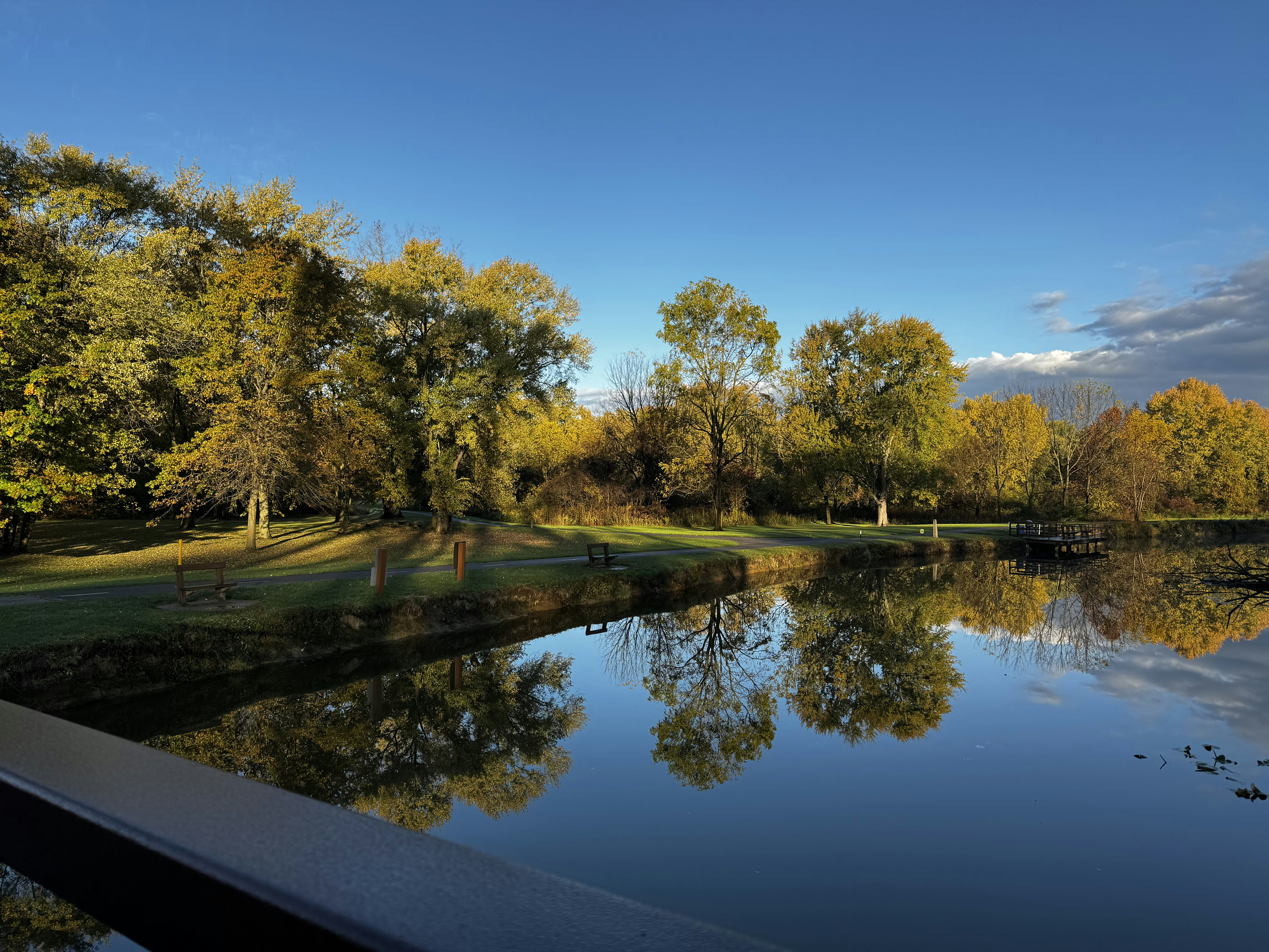 Gold Canopy on Glassy Lake: Autumn Trees Reflect a Quiet Morning